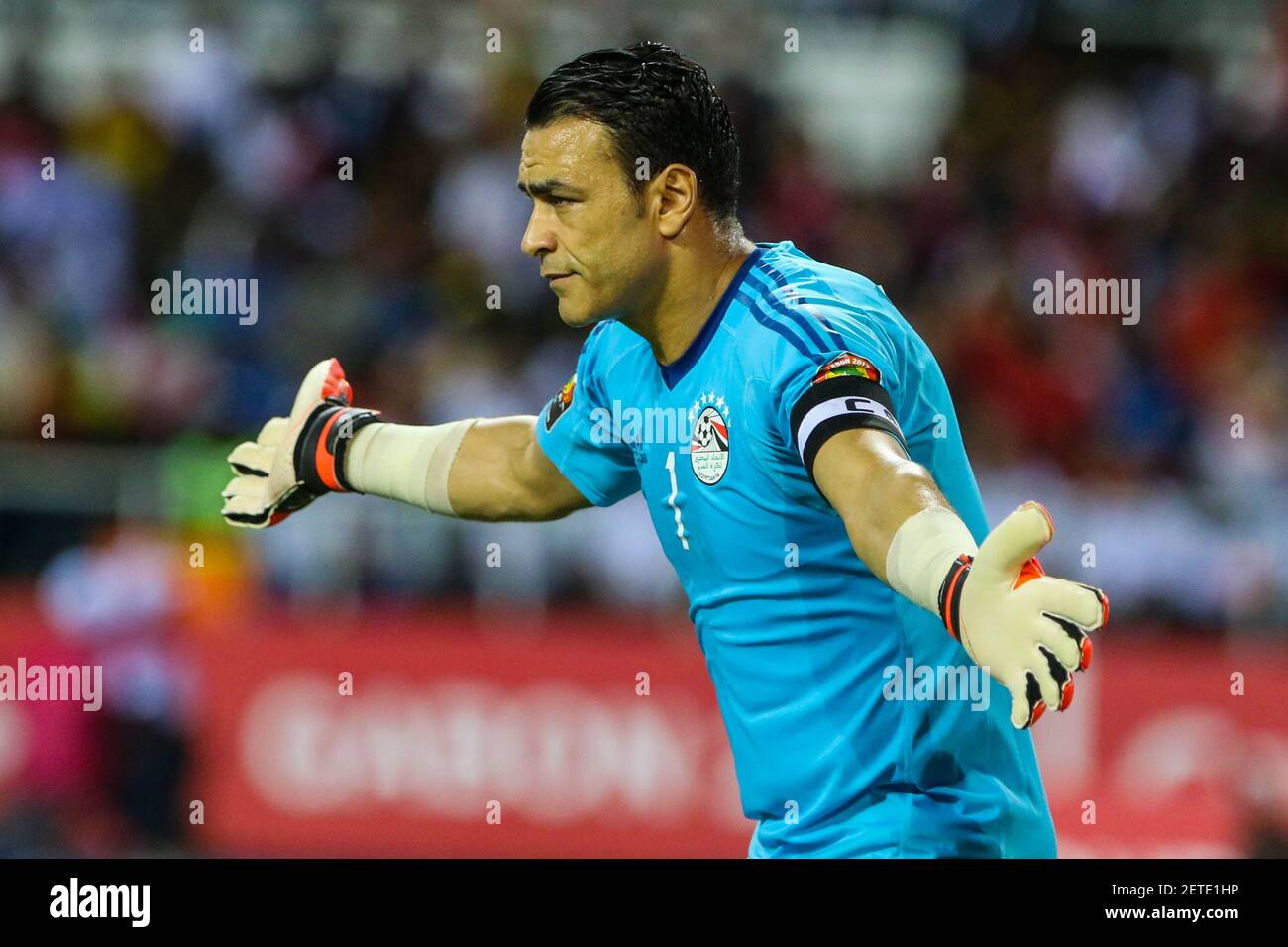 Egypt goalkeeper essam el hadary hi-res stock photography and images - Alamy