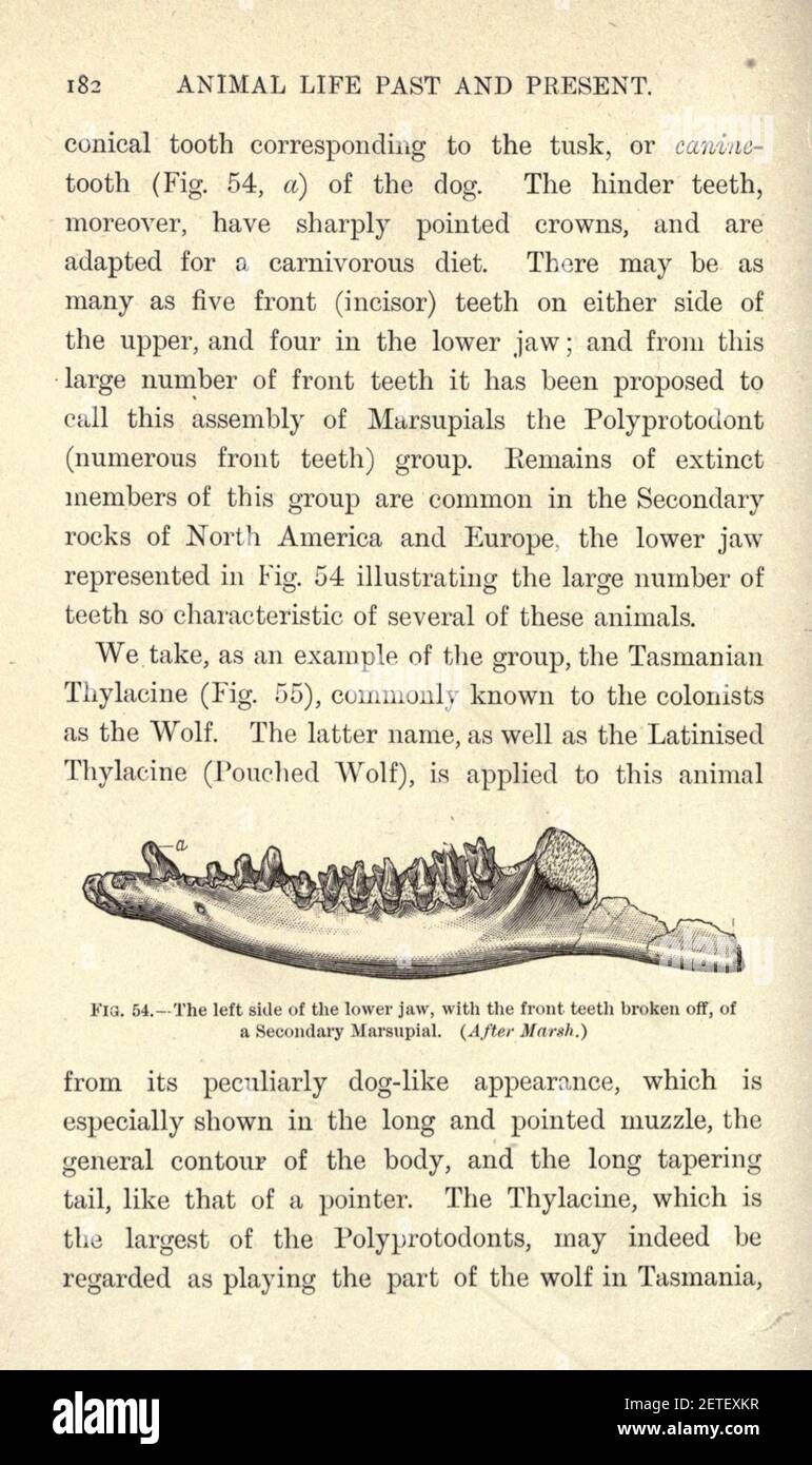Life phases hi-res stock photography and images - Alamy