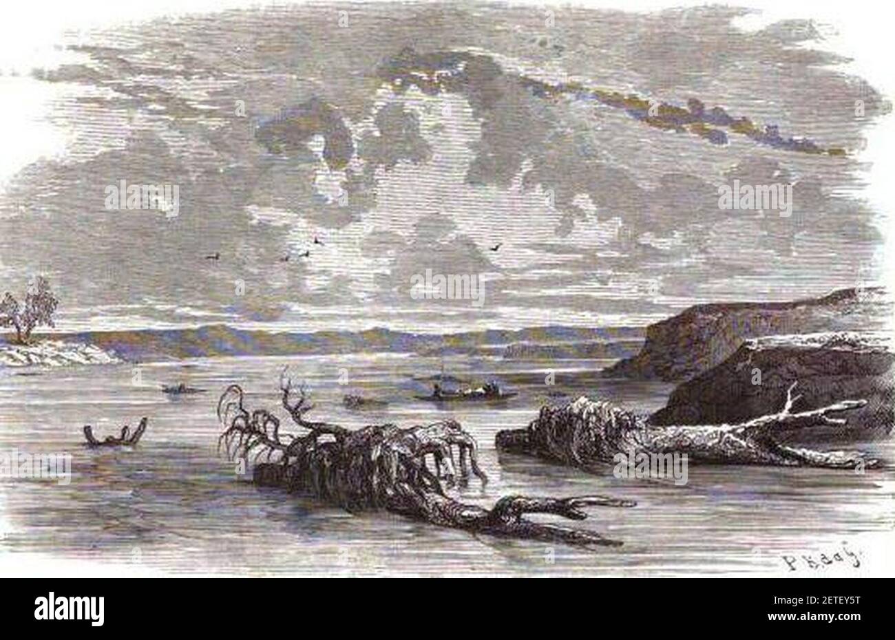 Phasis hi-res stock photography and images - Alamy