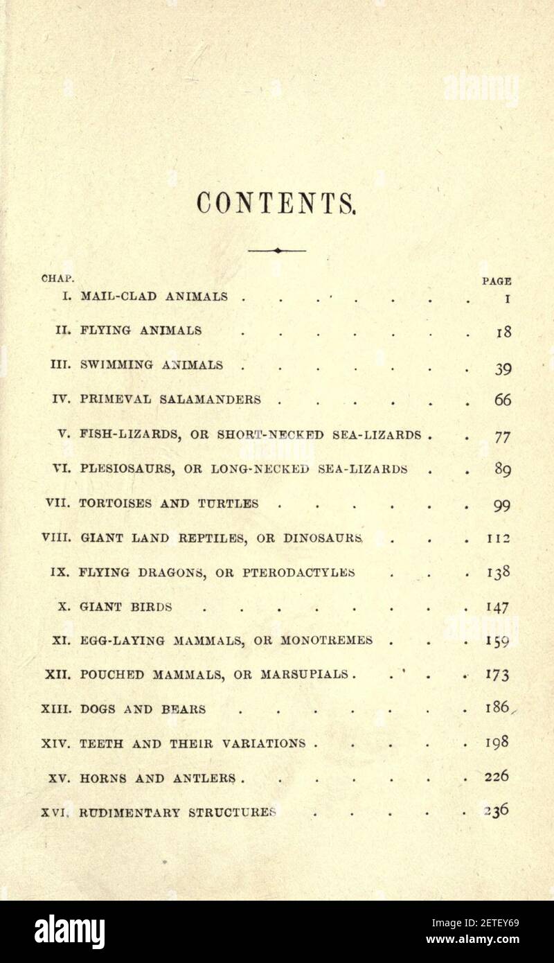 Phases of animal life, past and present Stock Photo - Alamy