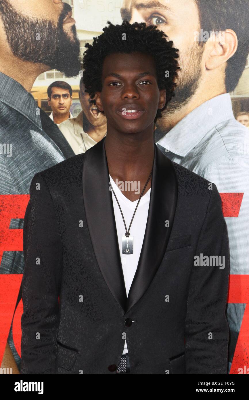 Tim Johnson Jr at the Premiere Of Warner Bros. Pictures' 'Fist Fight ...