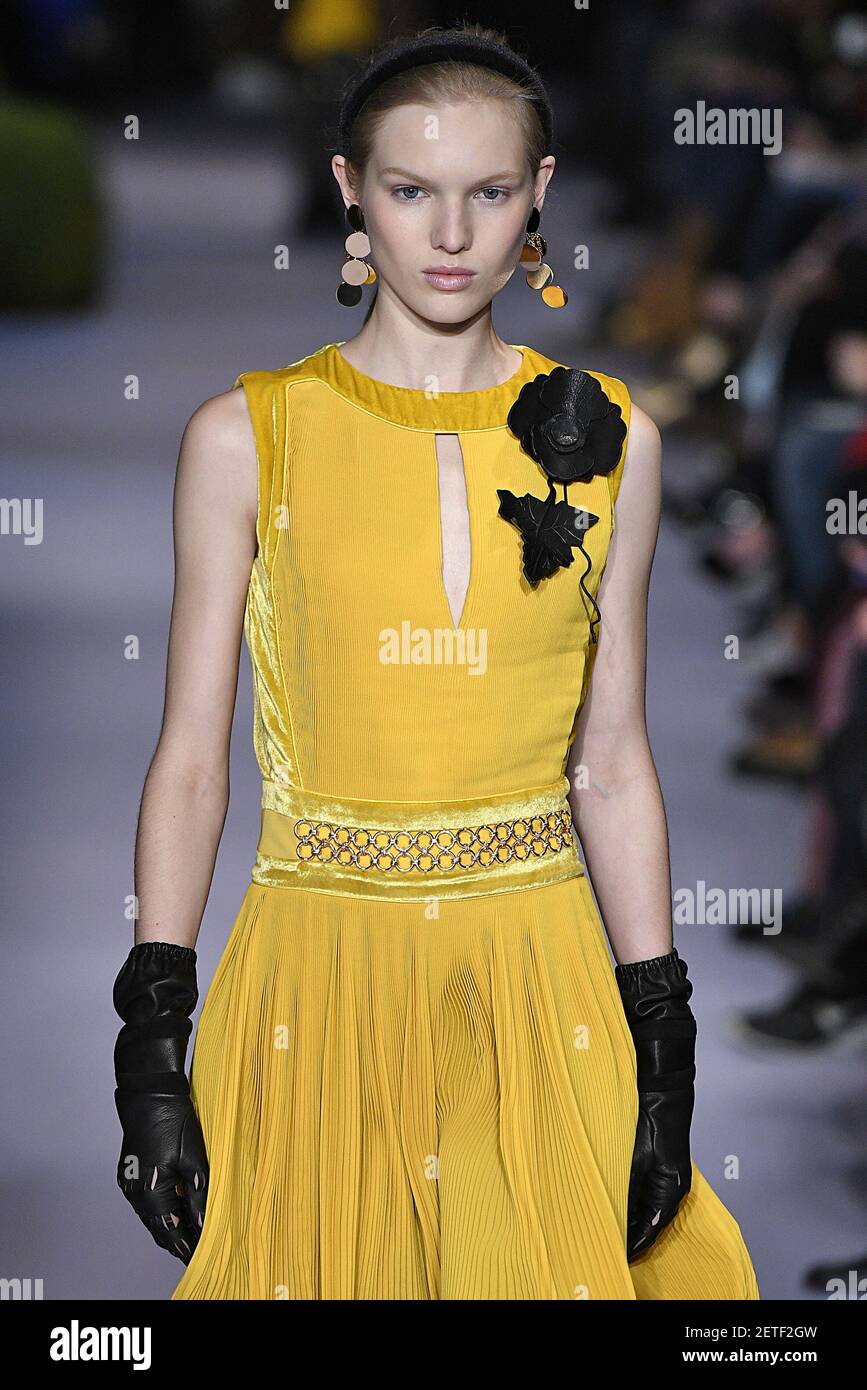 Model Jess Pw Walks On The Runway During The Altuzarra Fashion Show At Fw17 Held At Spring
