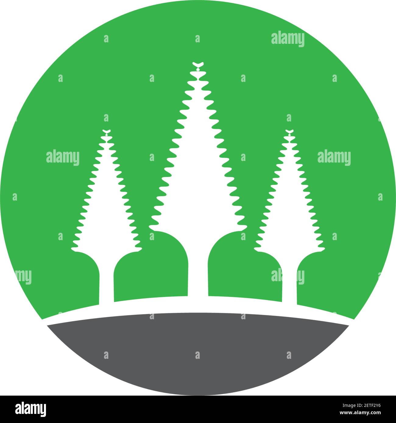 Pine vector icon illustration Stock Vector Image & Art - Alamy