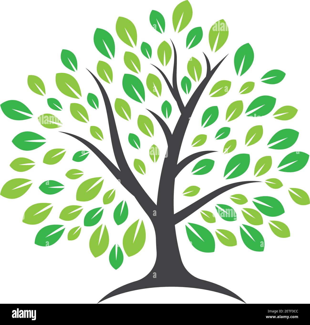 Tree symbol vector illustration design Stock Vector Image & Art - Alamy