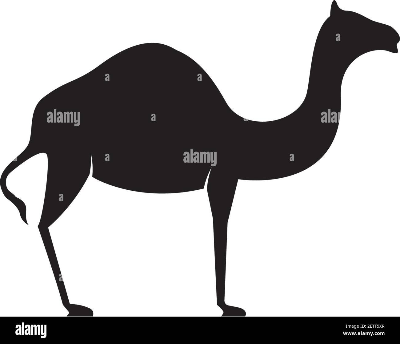 Camel logo template vector icon illustration design Stock Vector Image ...