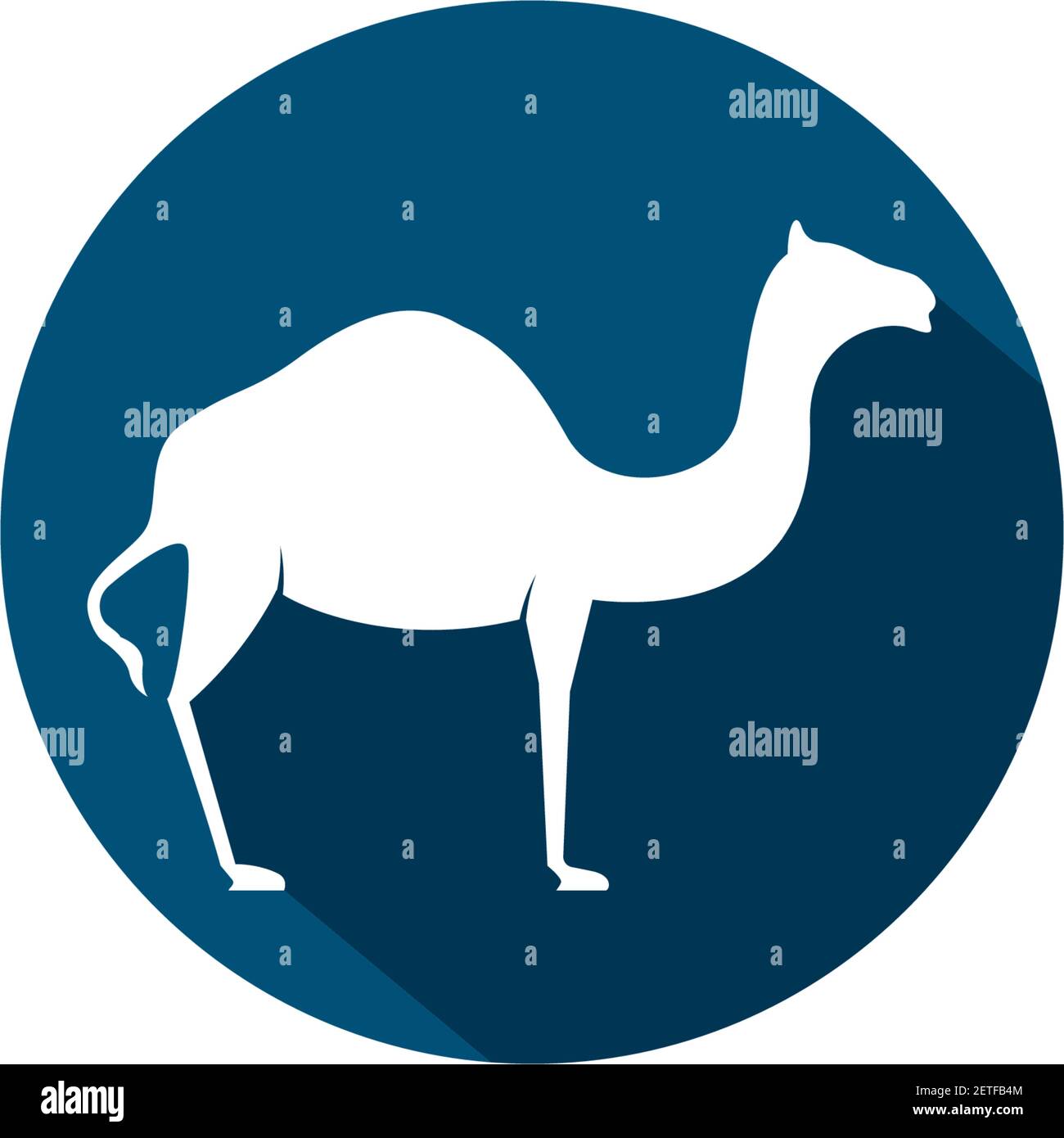 Camel logo template vector icon illustration design Stock Vector Image ...