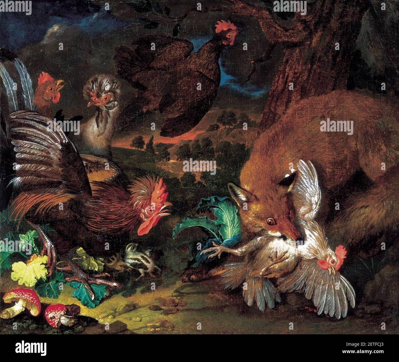 Philipp Ferdinand de Hamilton - Fox in the Courtyard Stock Photo - Alamy