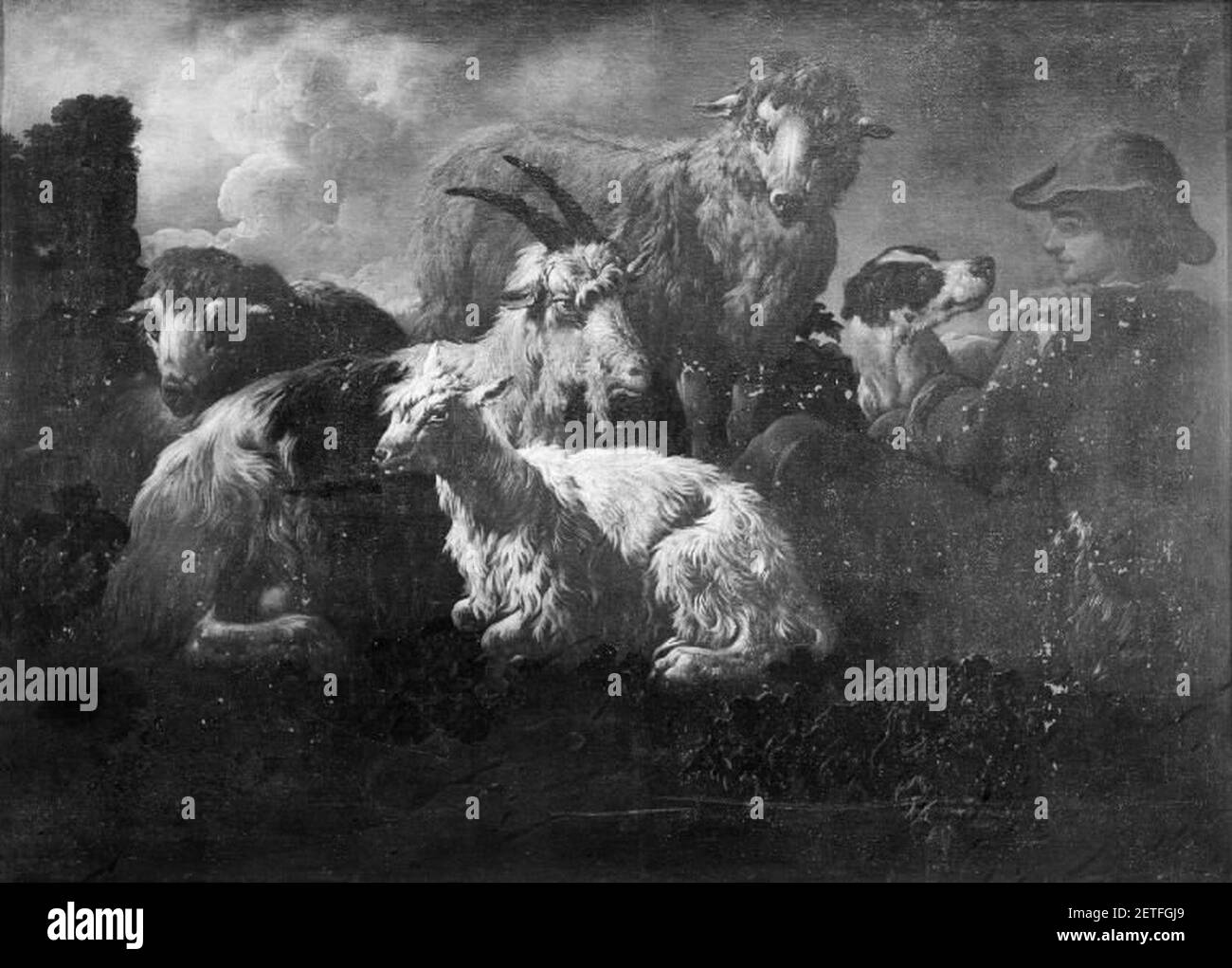 Philipp peter hi-res stock photography and images - Alamy