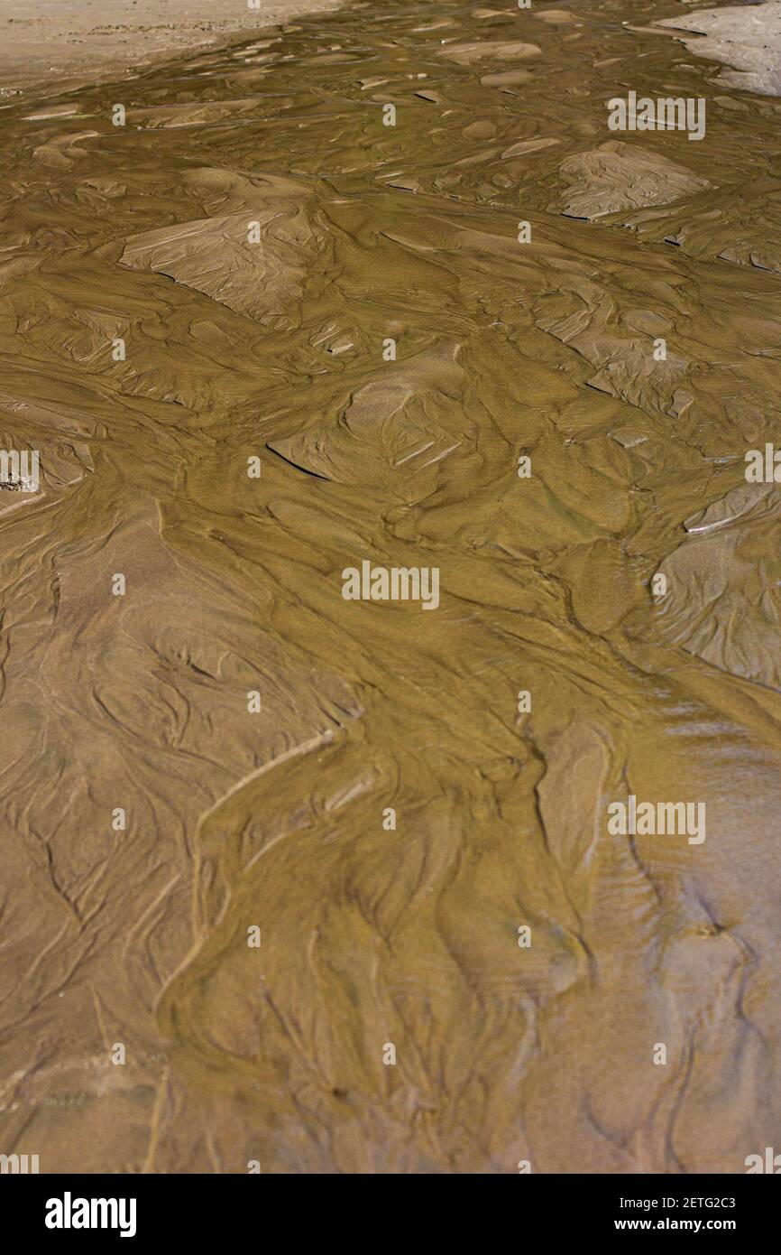 The delta of a creek emptying into Smuggler Cove on the Oregon coast ...