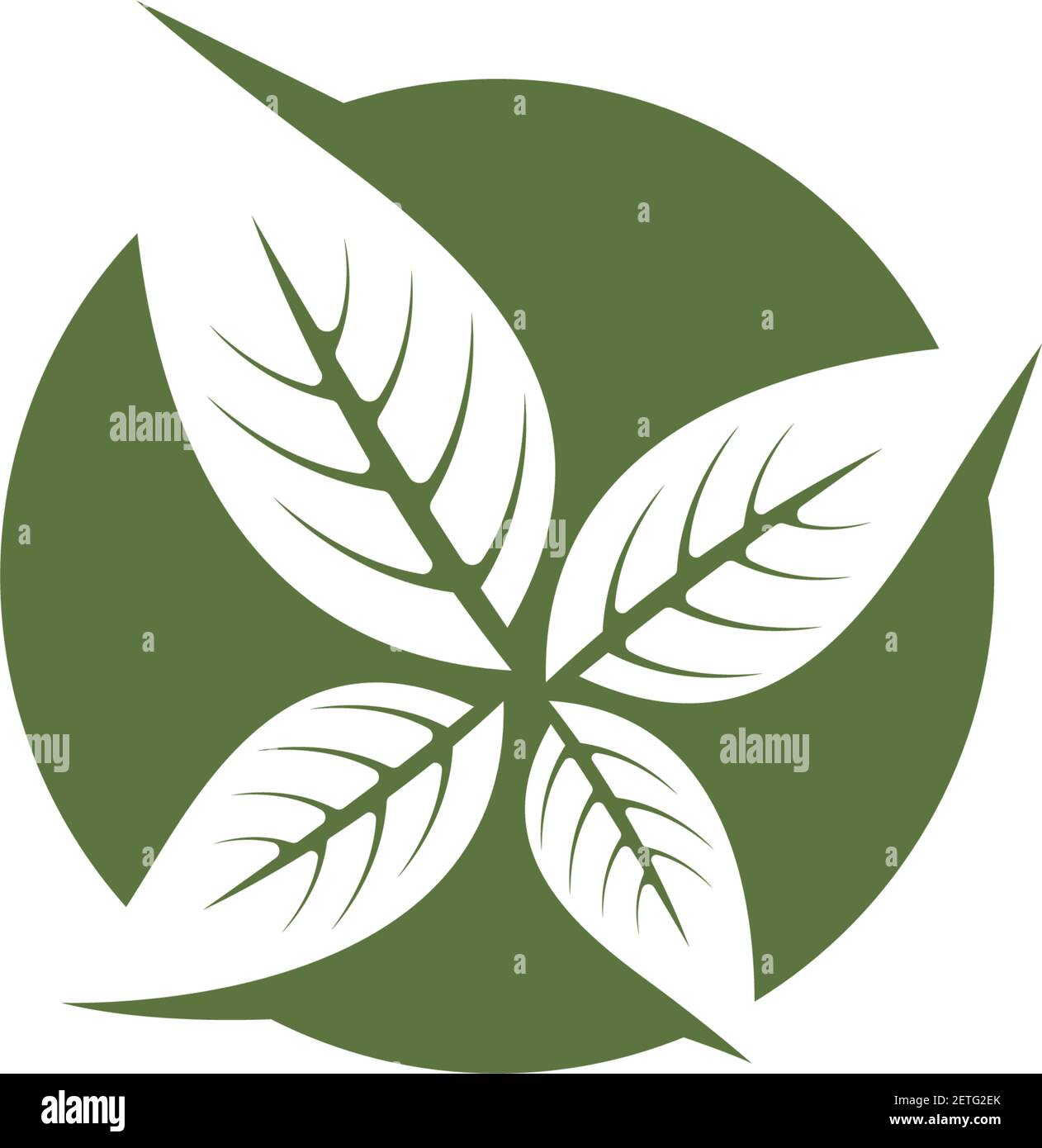 Leaf images illustration design Stock Vector Image & Art - Alamy