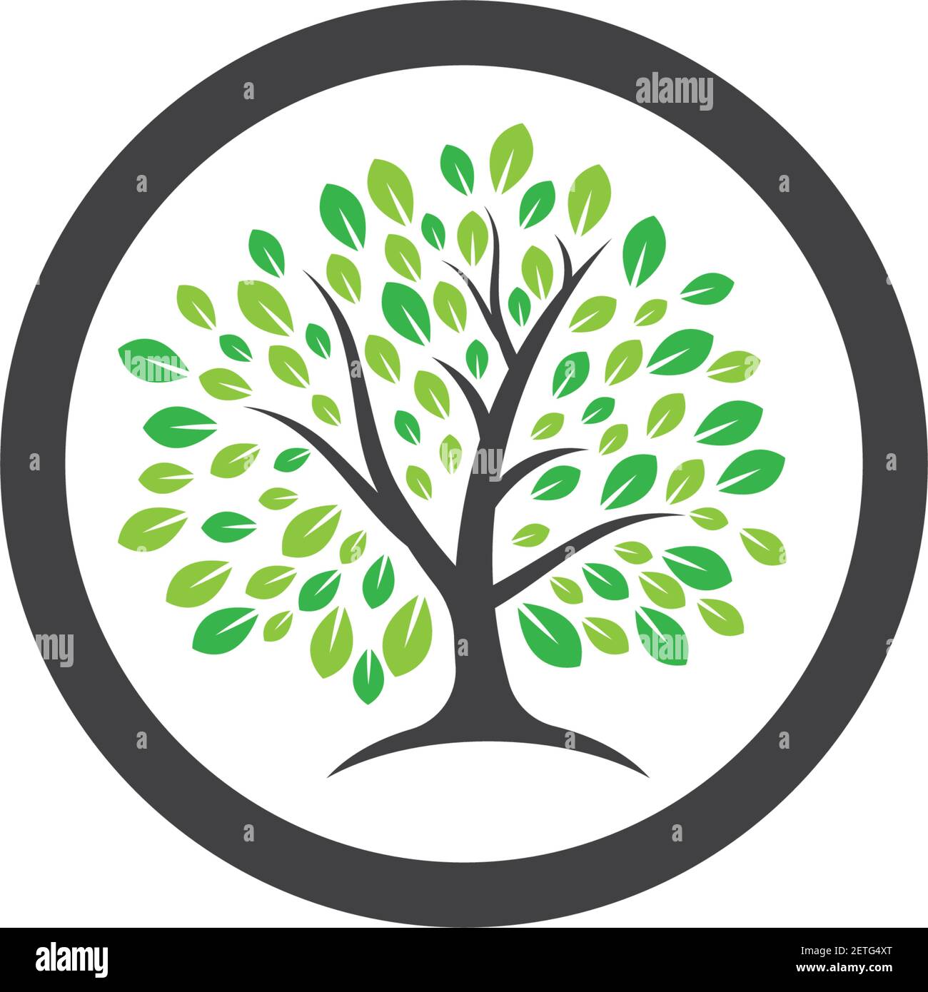 Tree symbol vector illustration design Stock Vector Image & Art - Alamy