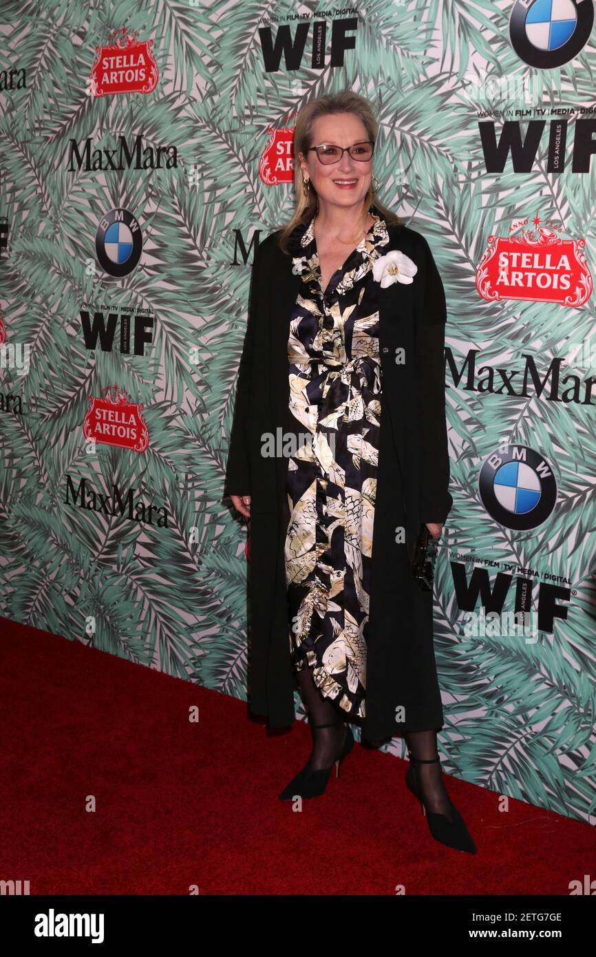 Meryl Streep at the 10th Annual Women in Film Pre-Oscar Cocktail Party ...