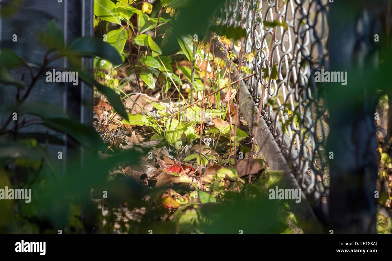 Sign through fence hi-res stock photography and images - Alamy