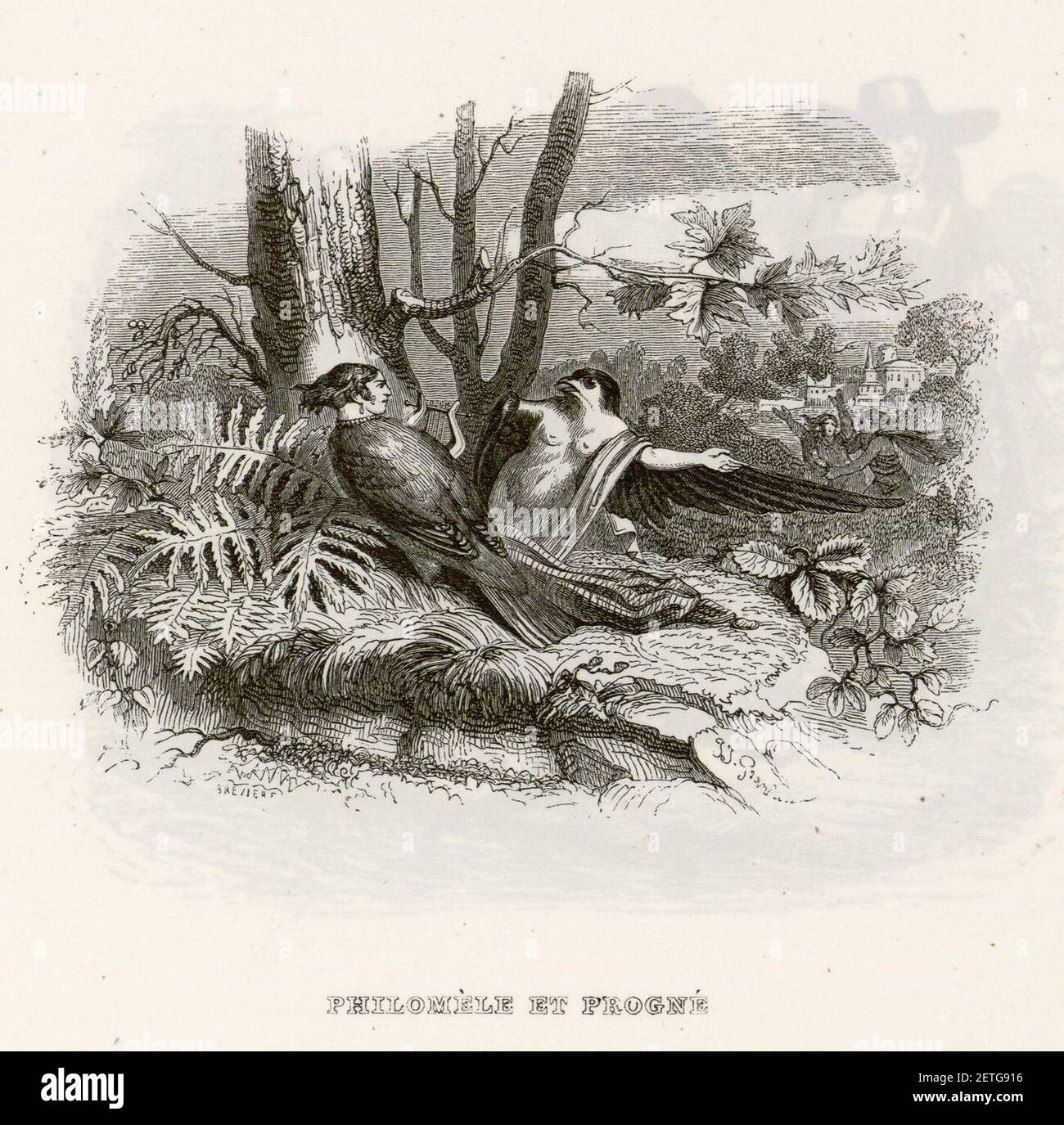 Philomele et progne hi-res stock photography and images - Alamy