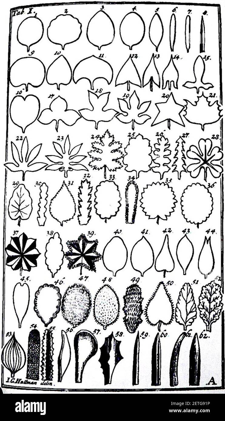 1751 1 hi-res stock photography and images - Alamy