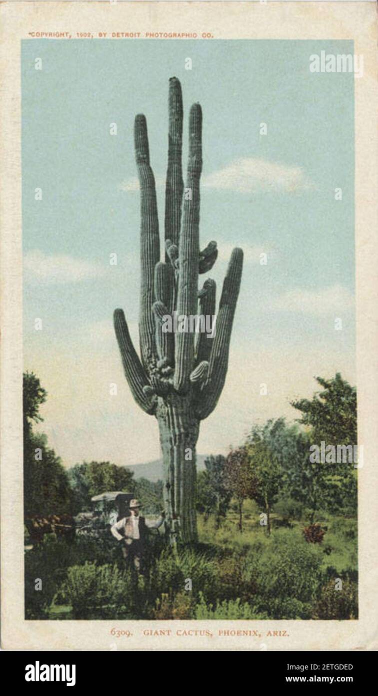 Vintage phoenix az hi-res stock photography and images - Alamy