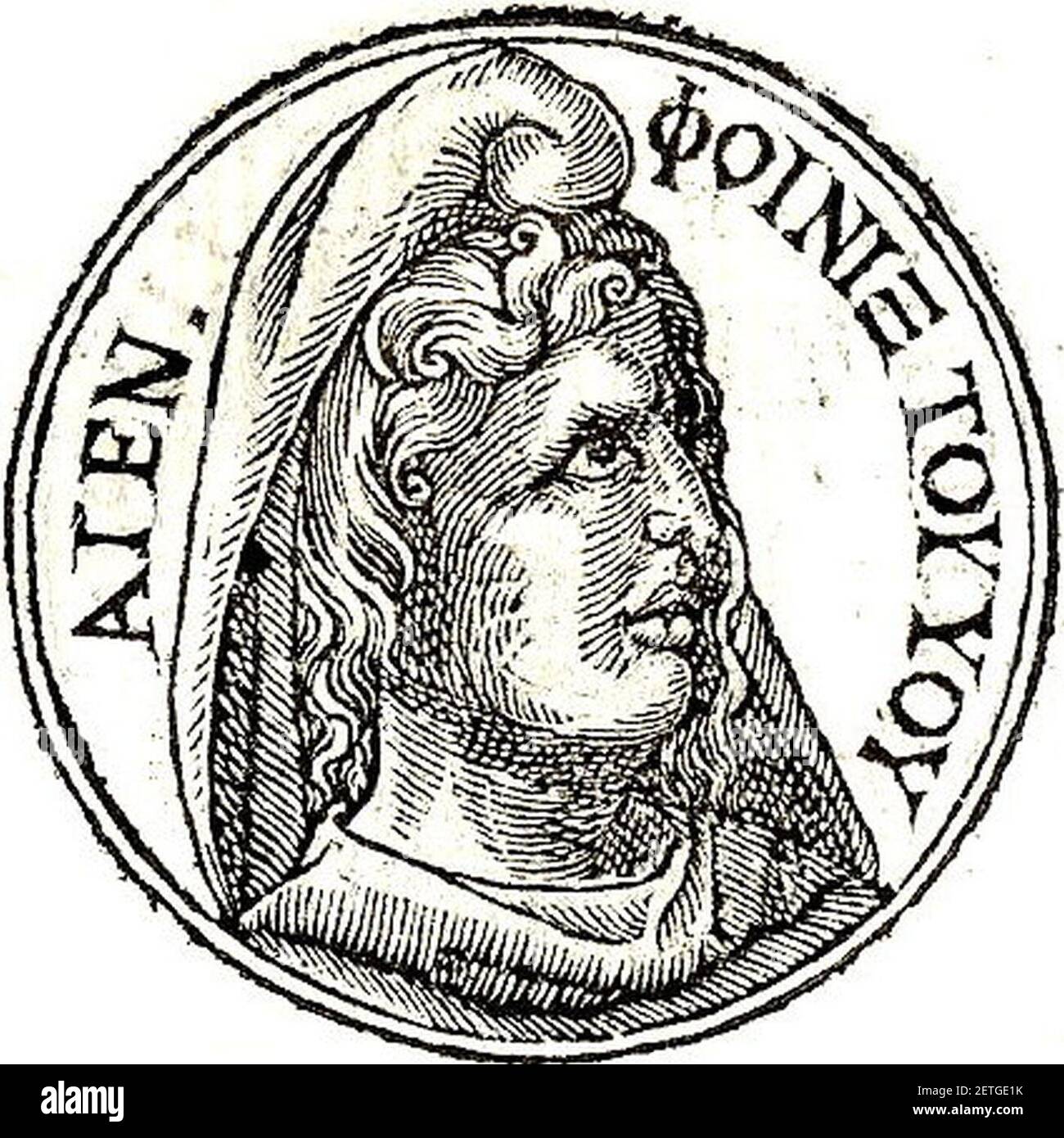 Filius hi-res stock photography and images - Alamy