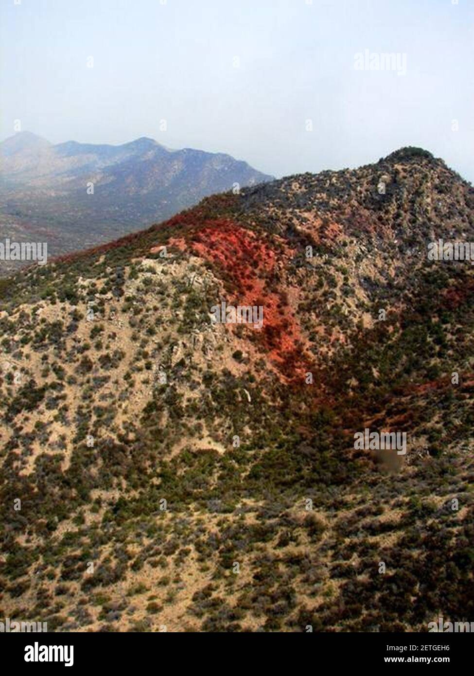 Phos check hi-res stock photography and images - Alamy