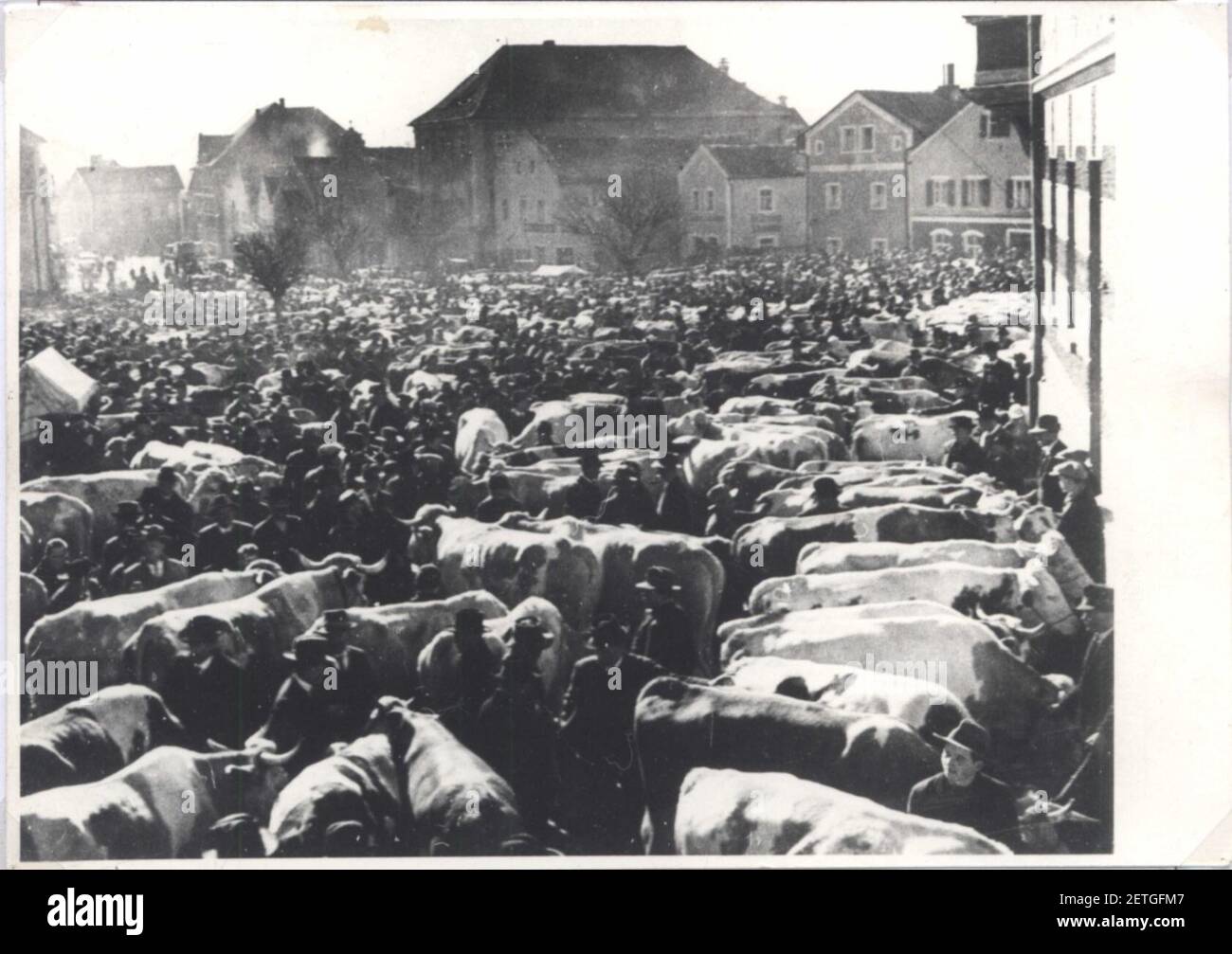 Hemau hi-res stock photography and images - Alamy