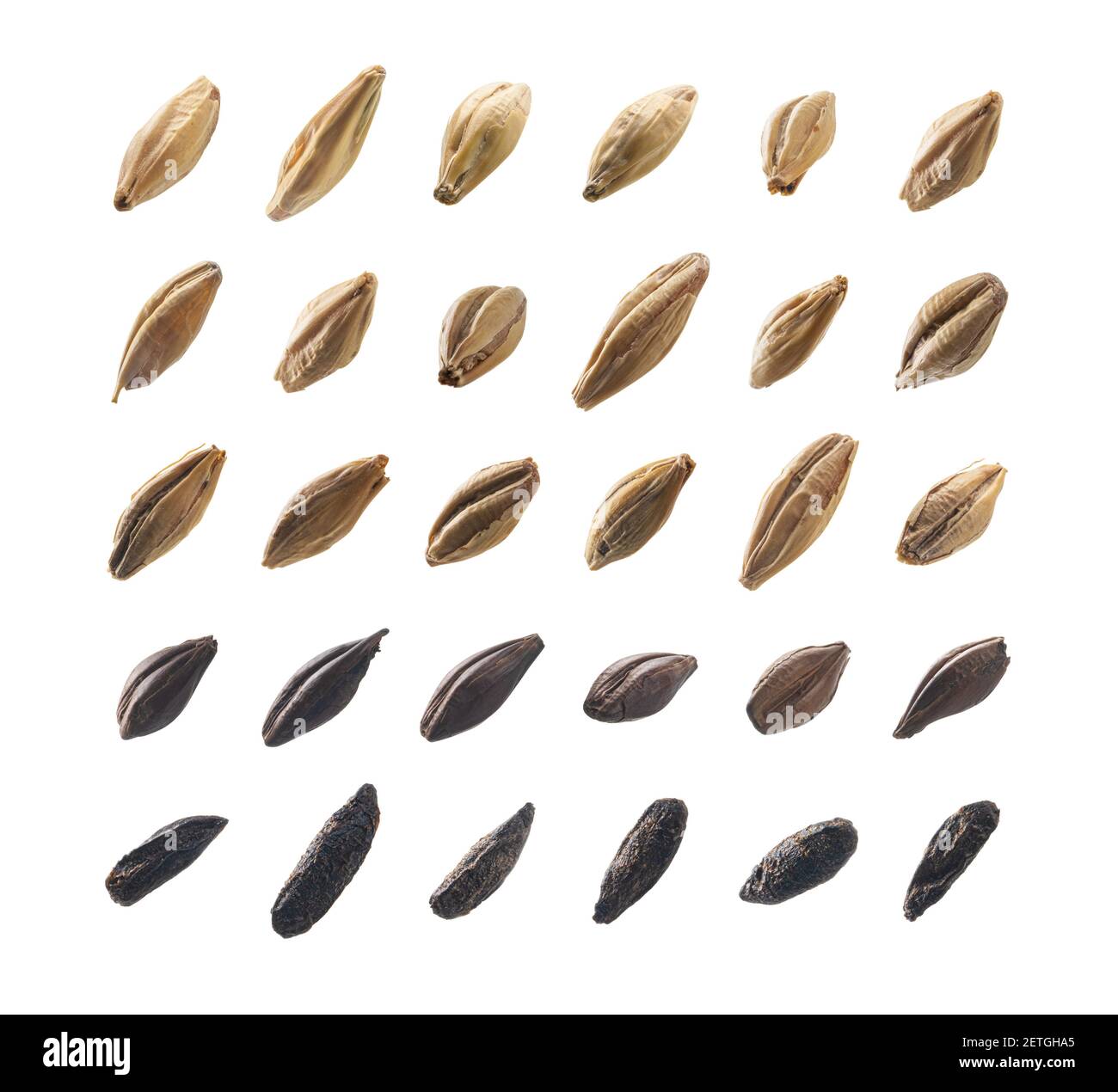 Large set of malt on a white background Stock Photo - Alamy