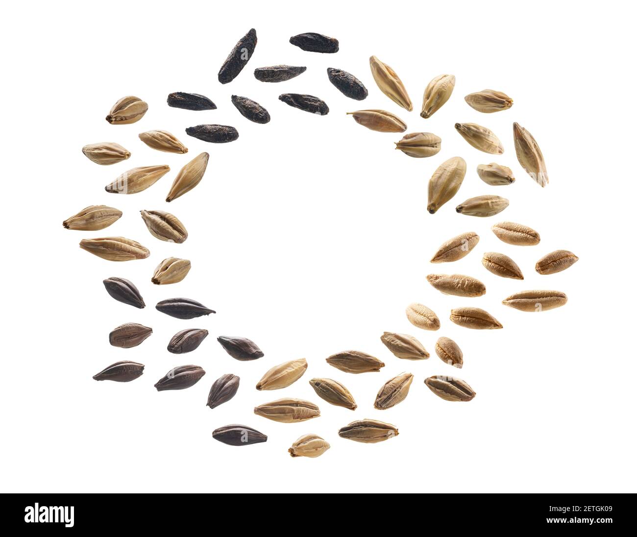 Background grain barley malt Cut Out Stock Images & Pictures - Alamy
