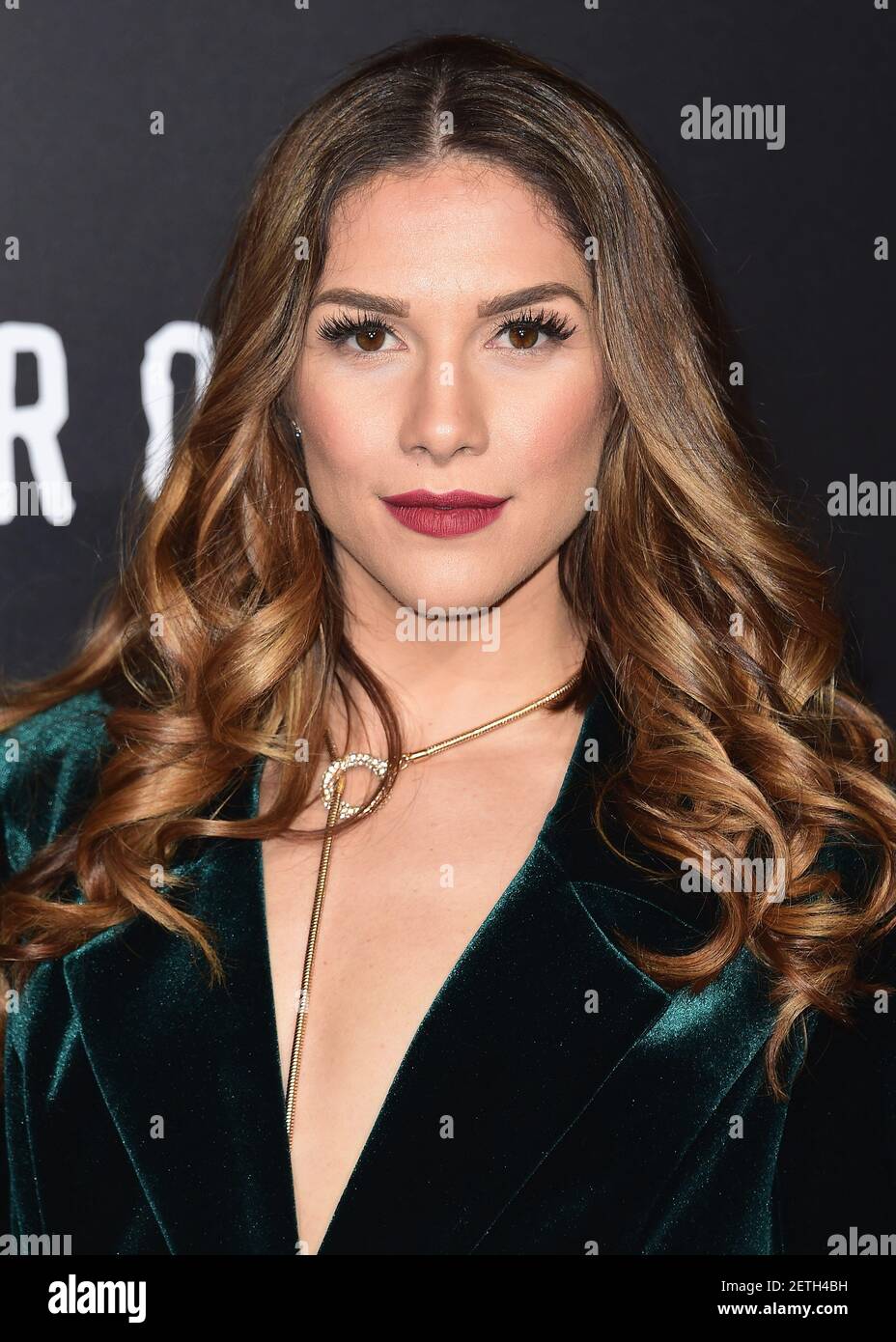 WESTWOOD - FEBRUARY 28: Alison Holker at the WGN America "Underground ...