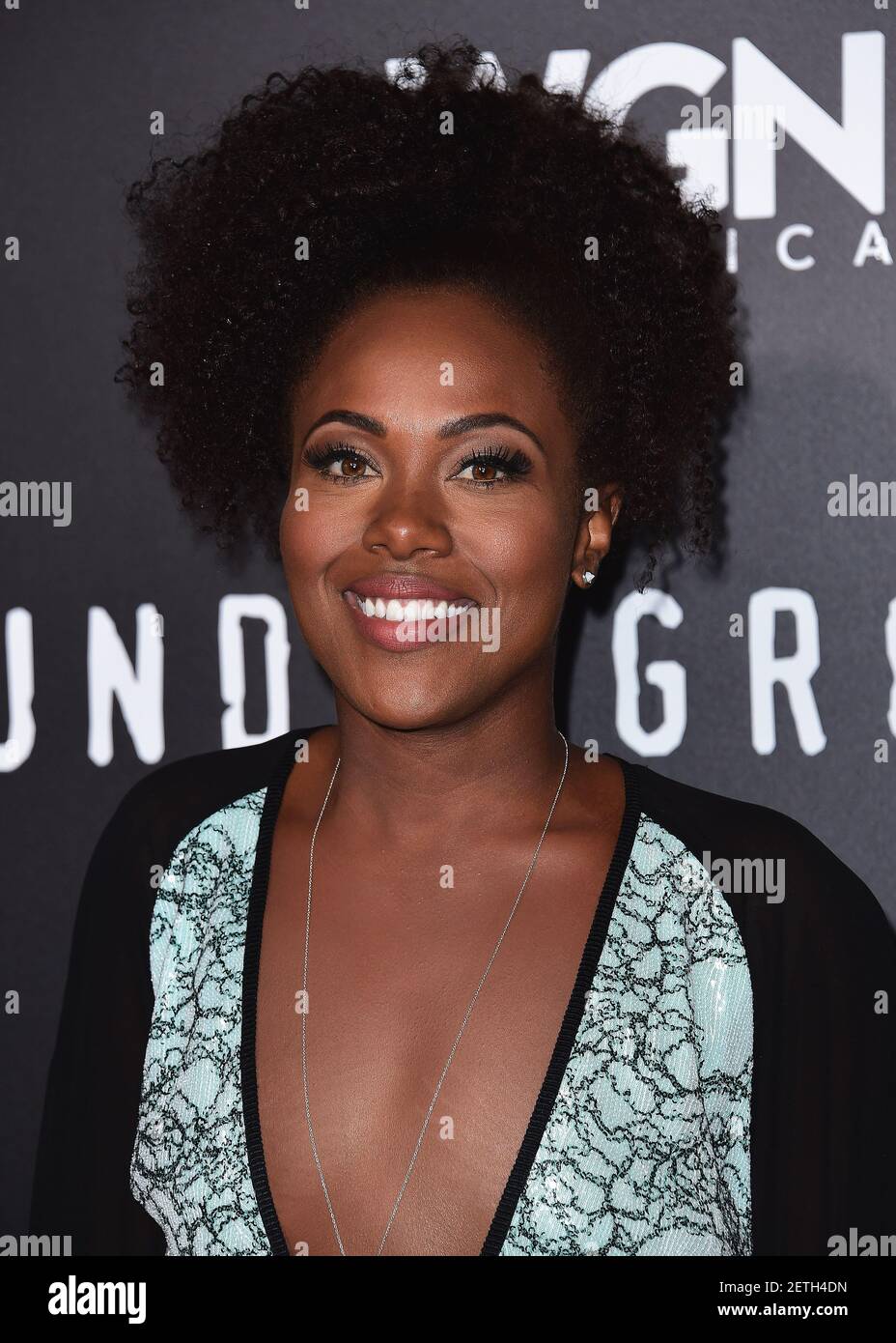 WESTWOOD - FEBRUARY 28: DeWanda Wise at the WGN America "Underground ...