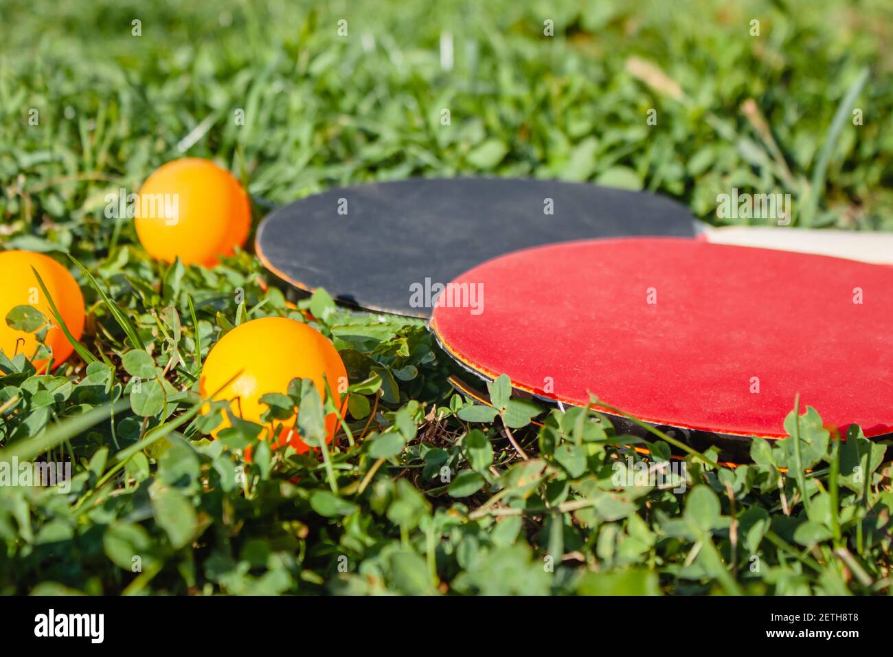 Black and red ping-pong rackets and three orange balls in the grass ...