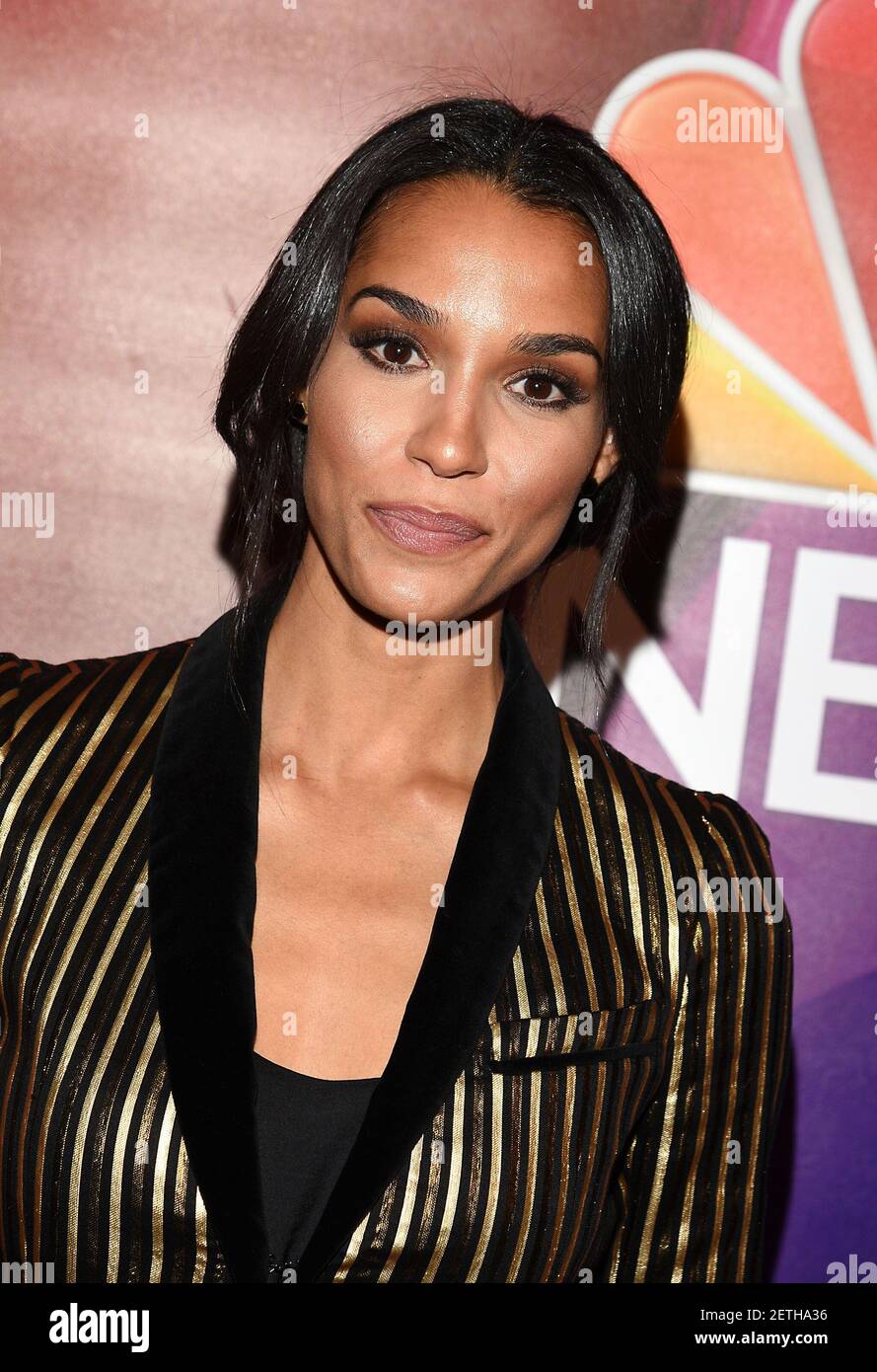 Donna Summer's daughter Brooklyn Sudano of "Taken" attends the NBC NY ...