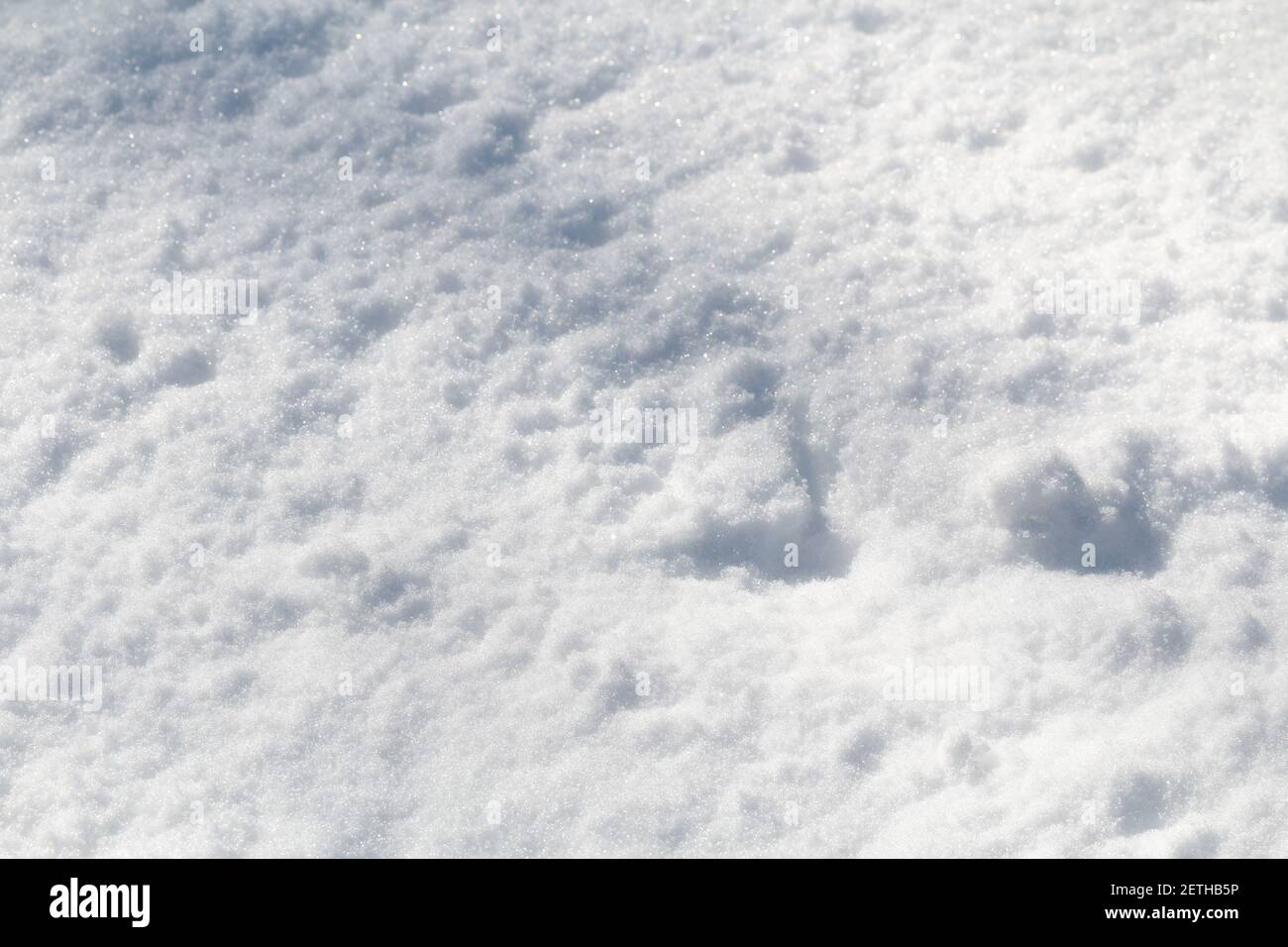 Winter snow. Snow texture Top view of the snow. Texture for design ...