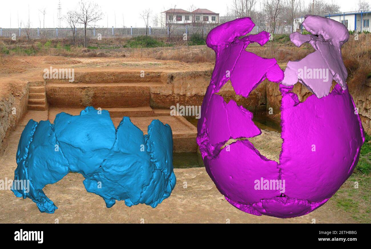 Neanderthals hi-res stock photography and images - Alamy