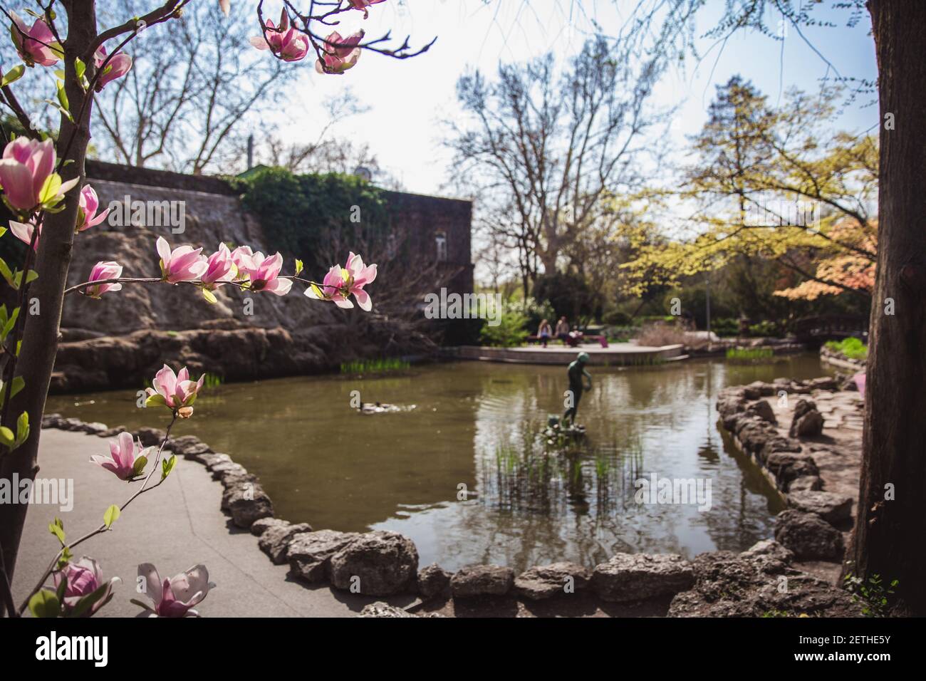 Beautiful sunny spring day in japanese garden in Margeret island in ...