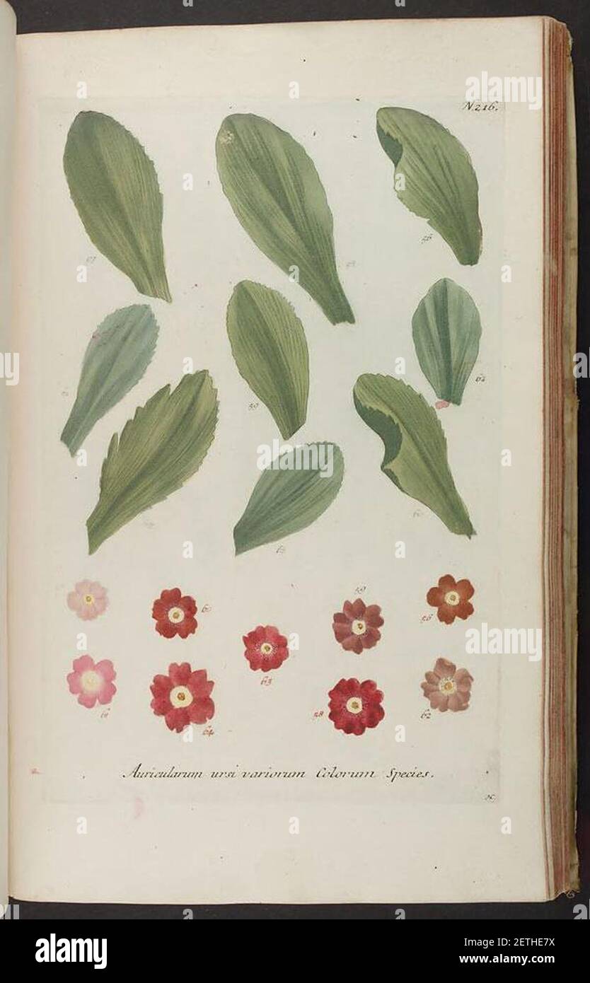 N° 216 hi-res stock photography and images - Alamy