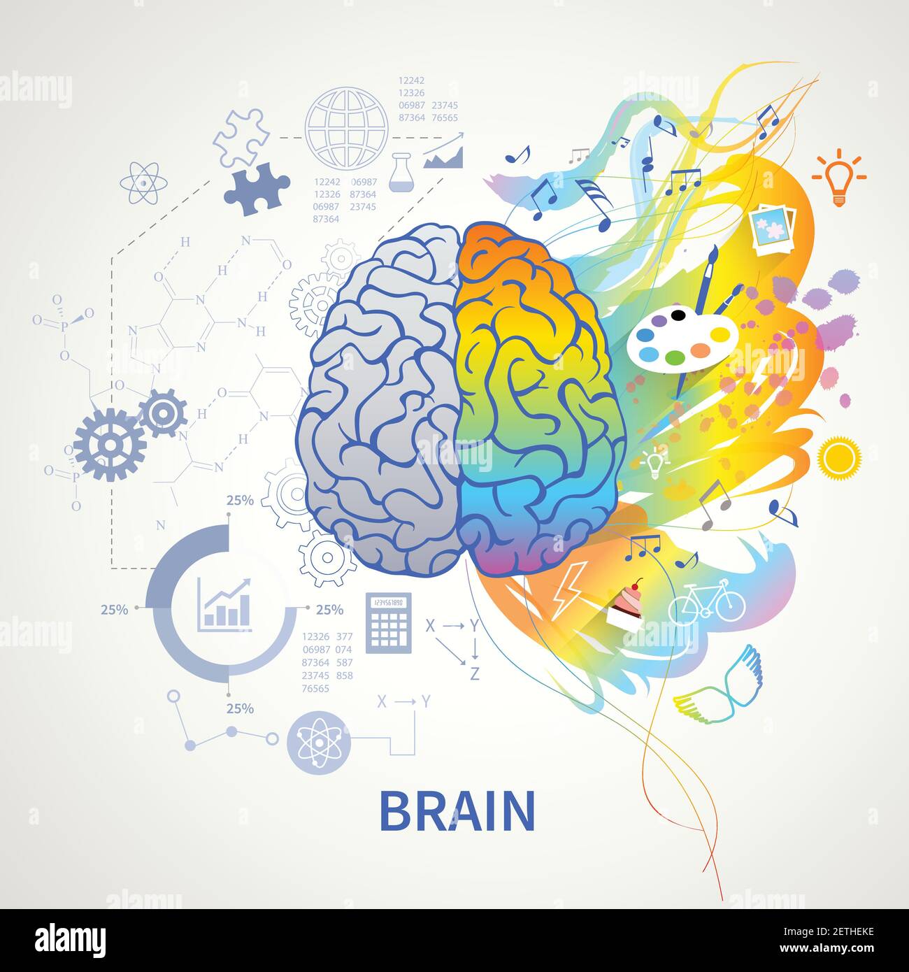 Brain functions concept infographic symbolic depiction with left side ...