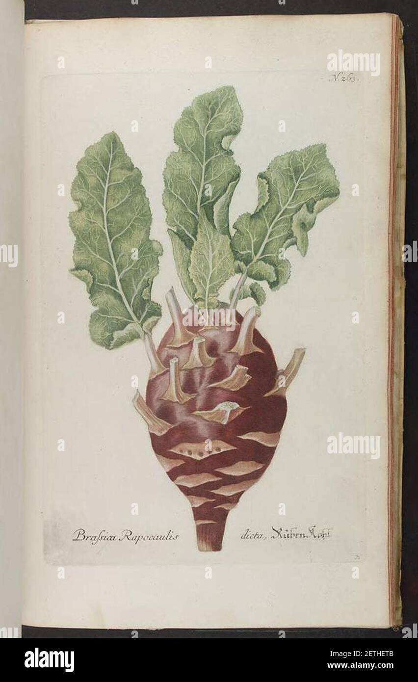 N 264 hi-res stock photography and images - Alamy