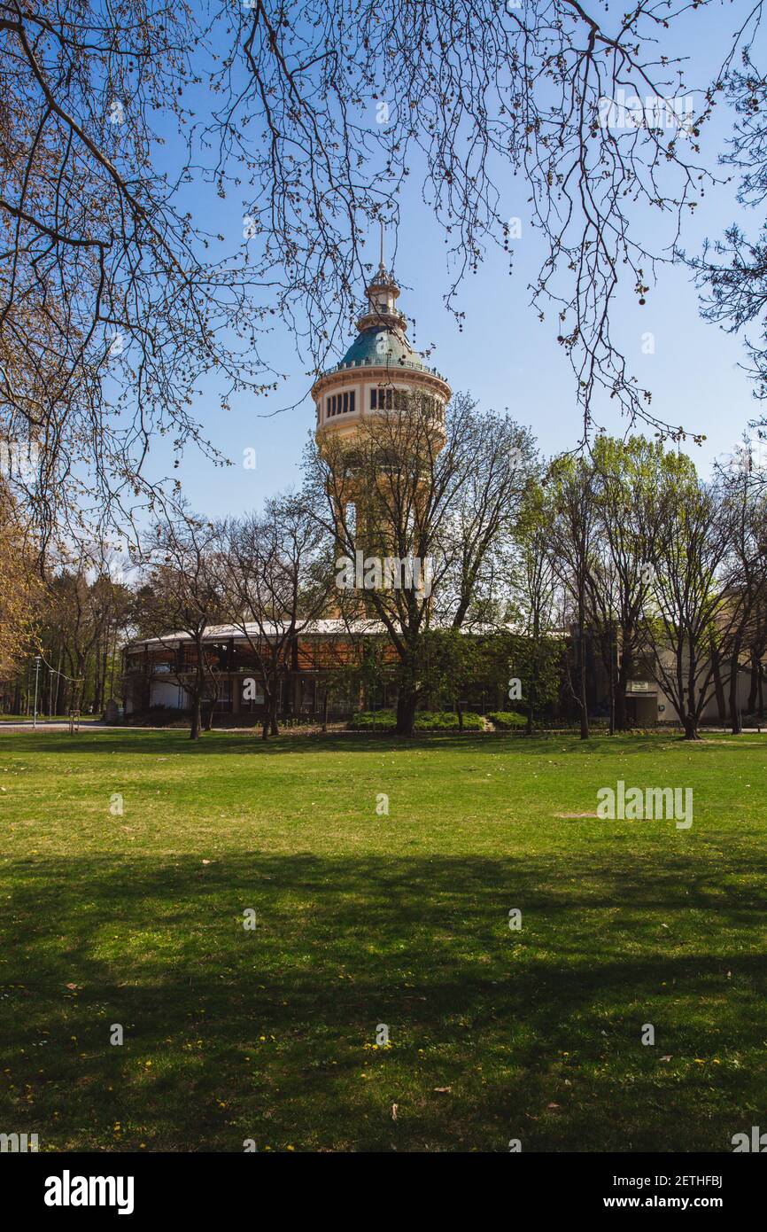 Green Park on Margit Island with Flowers and Tower in background in ...