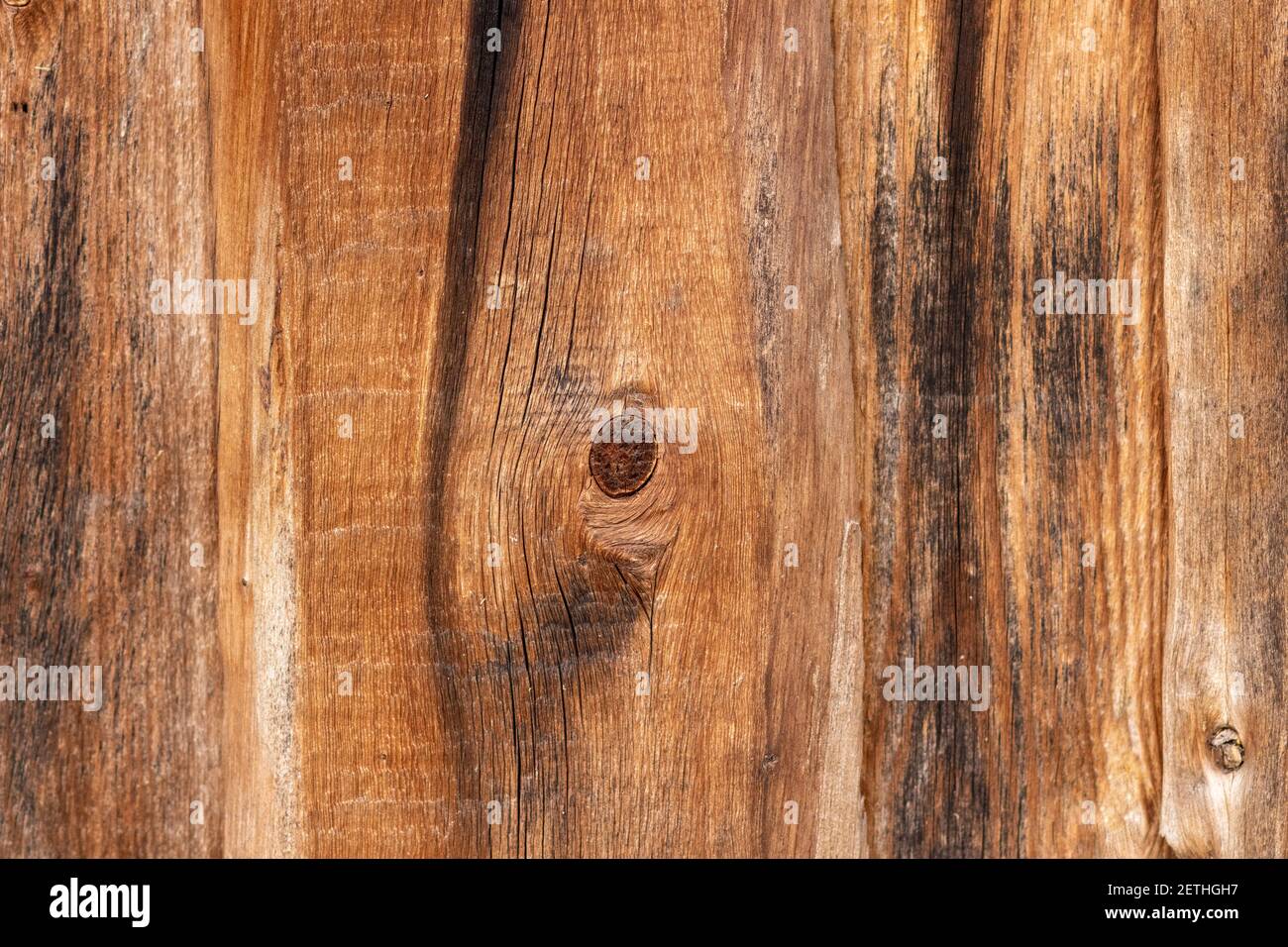 Wood texture. Tree close-up texture background. Wooden floor or table ...