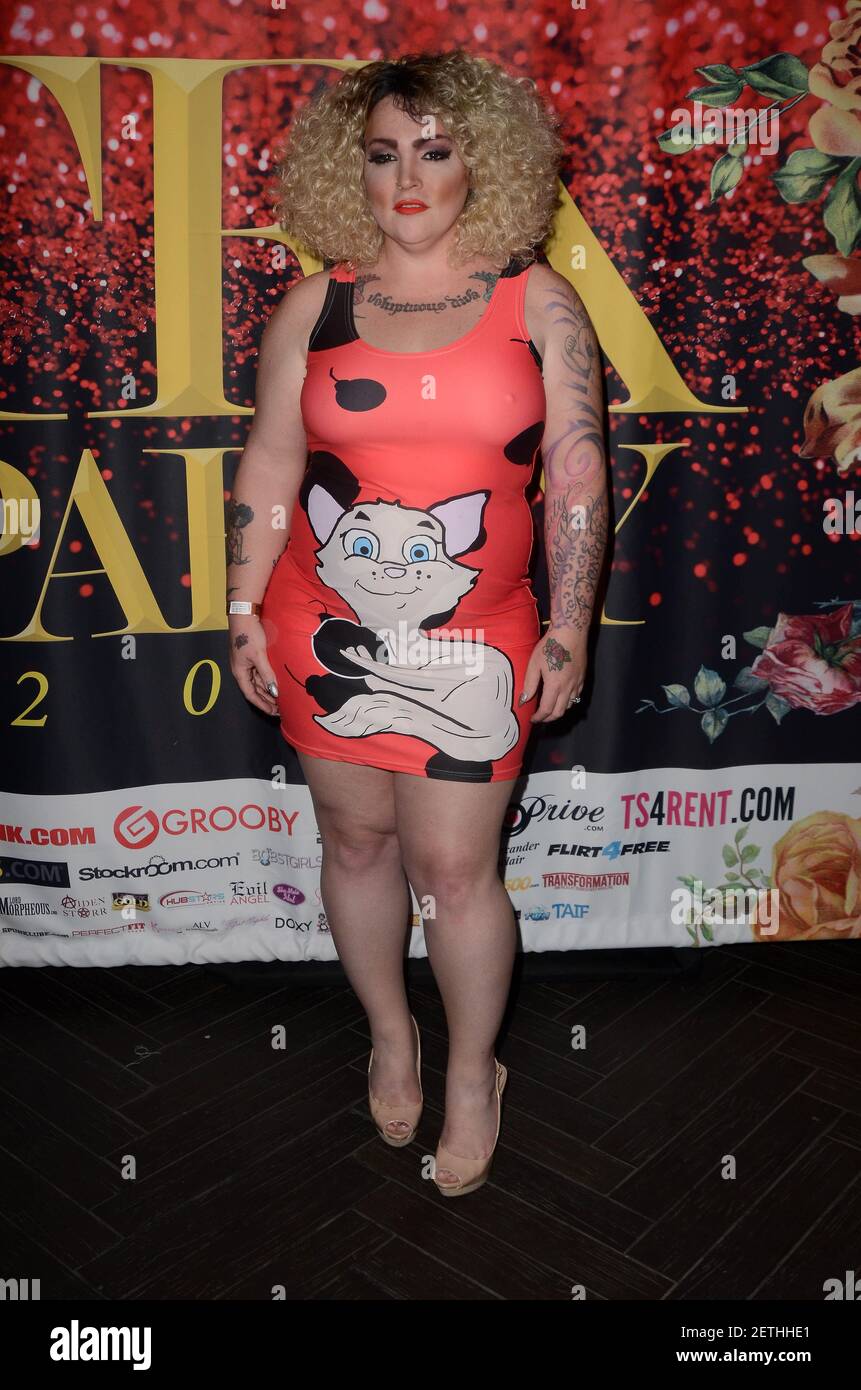 Michelle Austin At The 2017 Official Transgender Erotica Awards Tea Pre Party At Avalon In