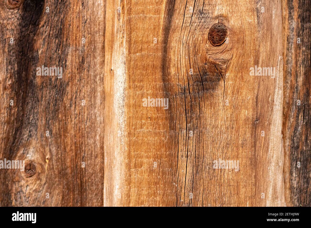Wood texture. Tree close-up texture background. Wooden floor or table ...