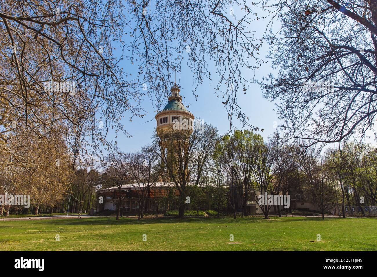 Green Park on Margit Island with Flowers and Tower in background in ...