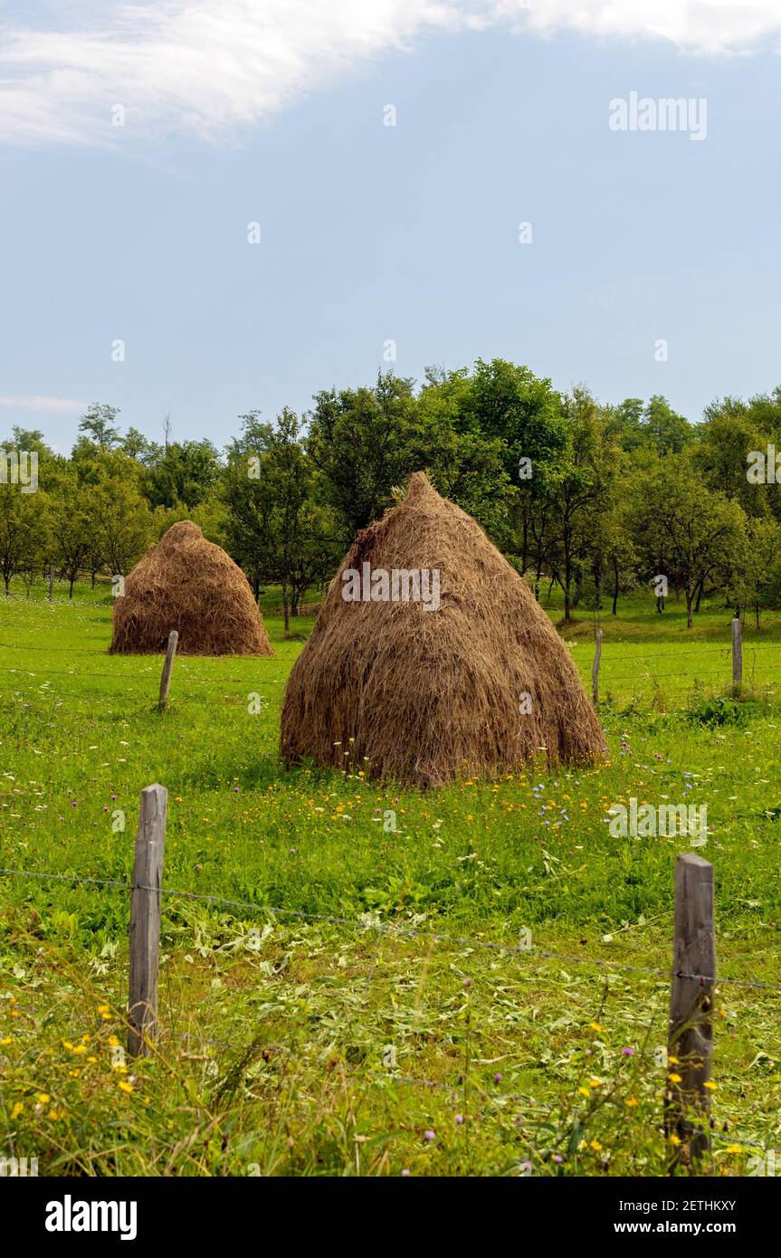 Traditional haystacks at the Carpathian Mountains, Romania Stock Photo ...
