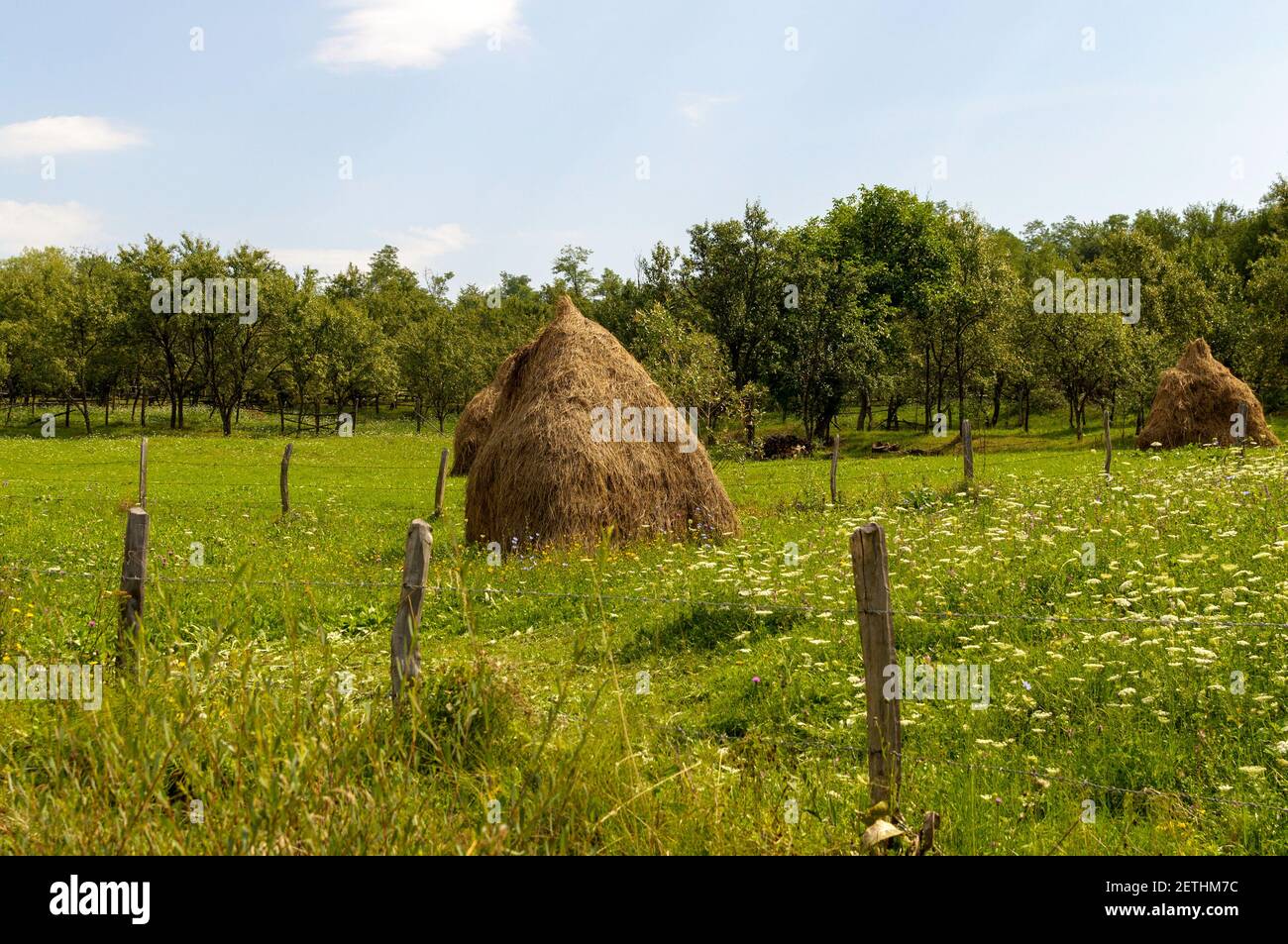 Haystack romania hi-res stock photography and images - Alamy