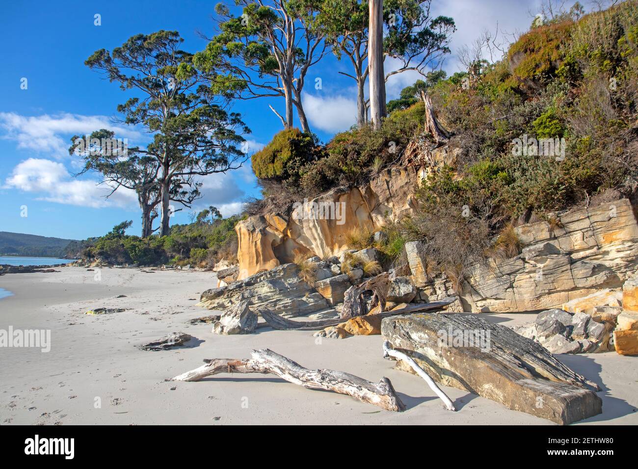 Two Tree Point High Resolution Stock Photography and Images - Alamy