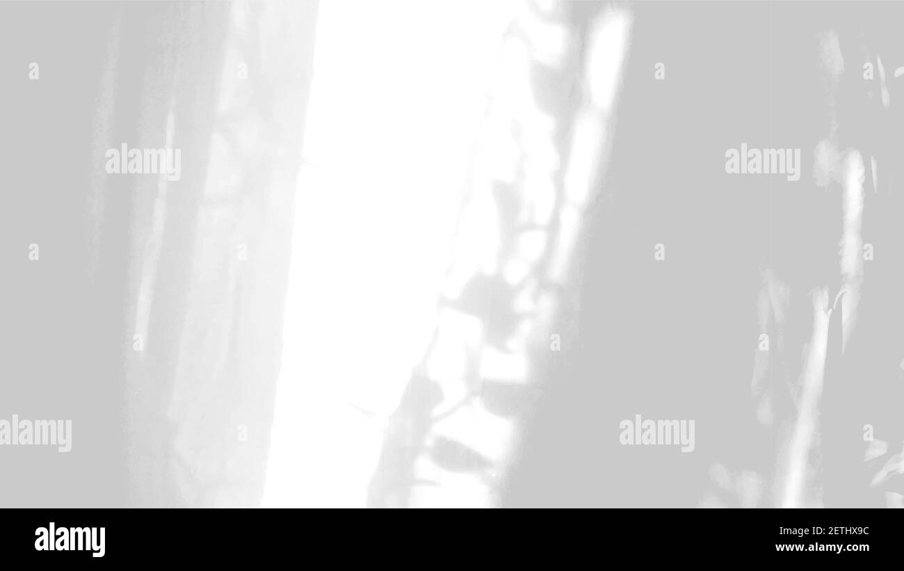 Shadows from window on Stock Vector Images - Alamy