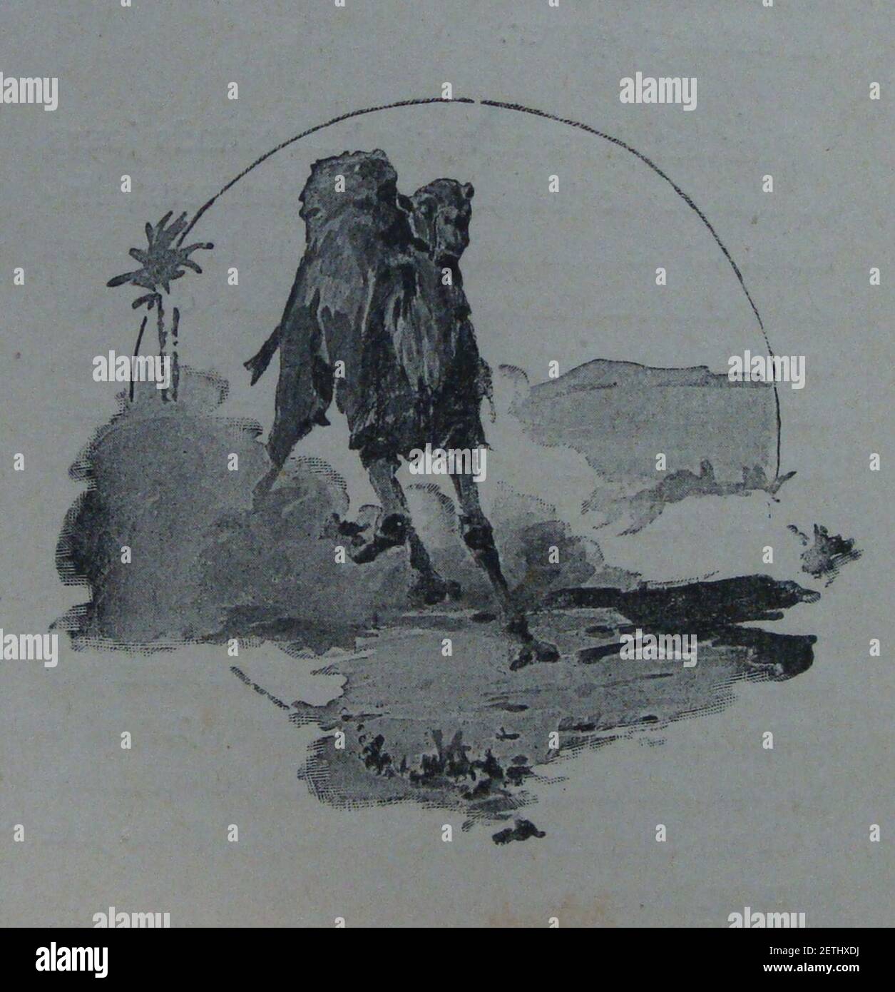 Tartarin hi-res stock photography and images - Alamy