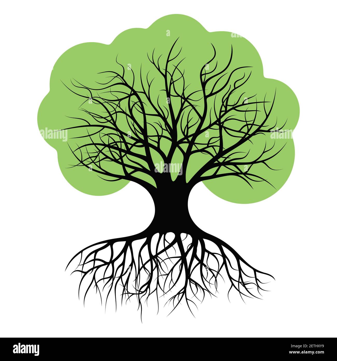 Foliage outline hi-res stock photography and images - Alamy