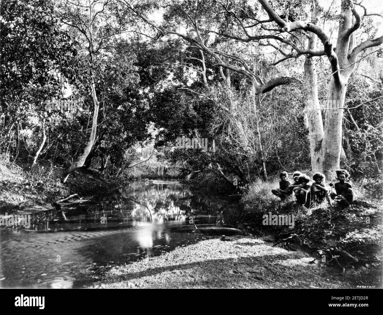 Kapa plate hi-res stock photography and images - Alamy