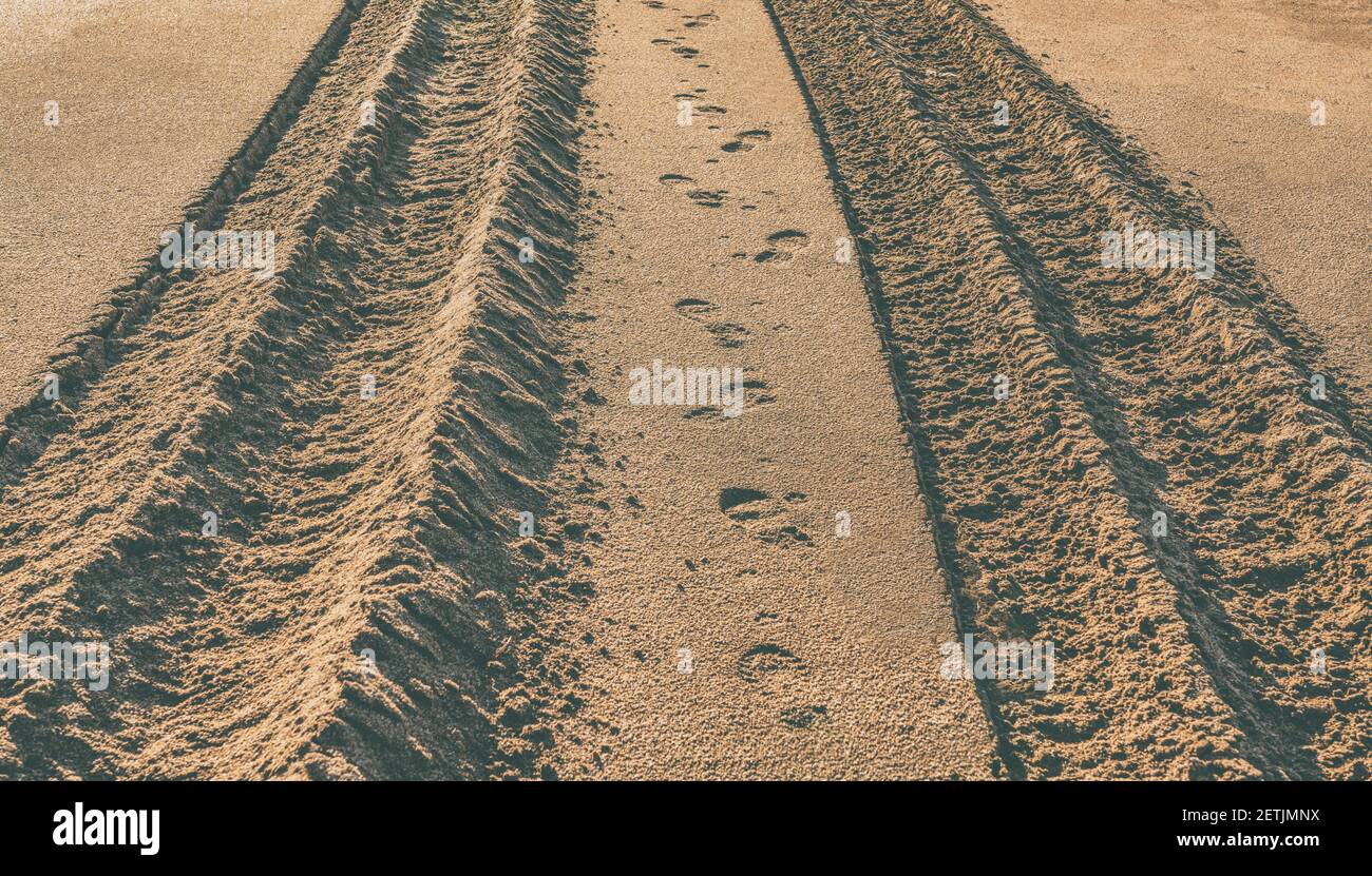 Tire tread marks on sand Stock Photo - Alamy