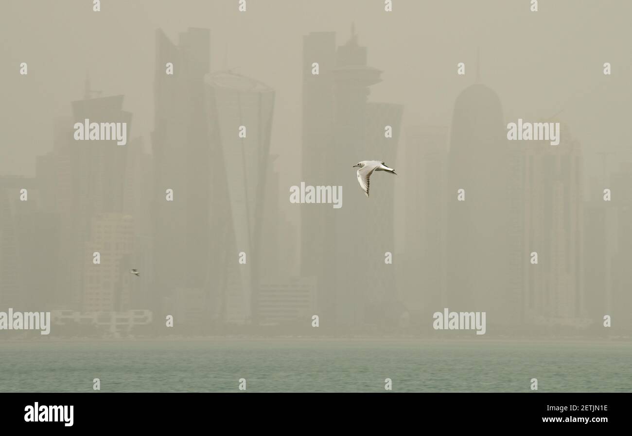 A genaral view of doha corniche in low visible dust storm that hit Doha ...