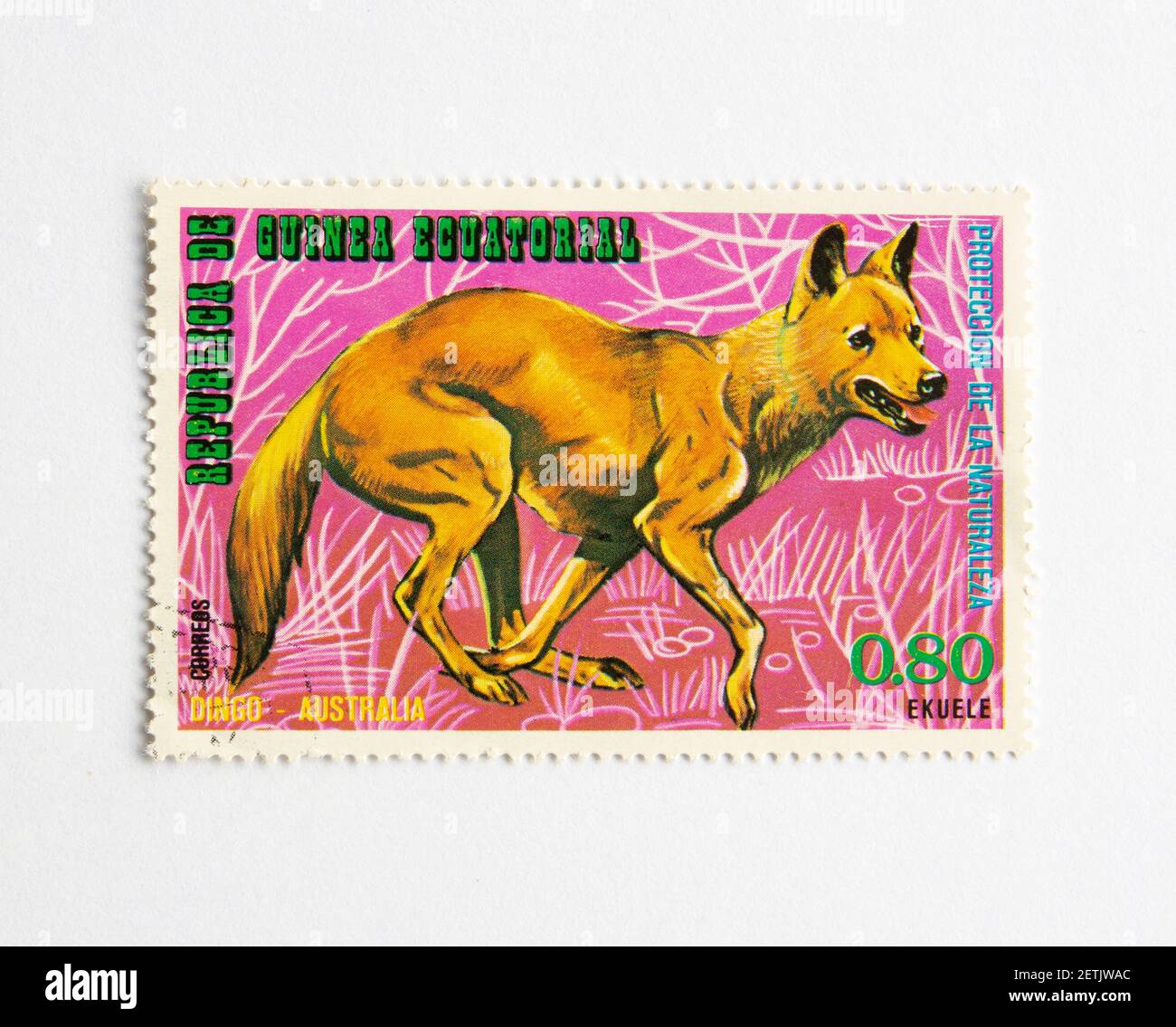 01.03.2021 Istanbul Turkey. Guinea Republic Postage Stamp. circa 1974 ...